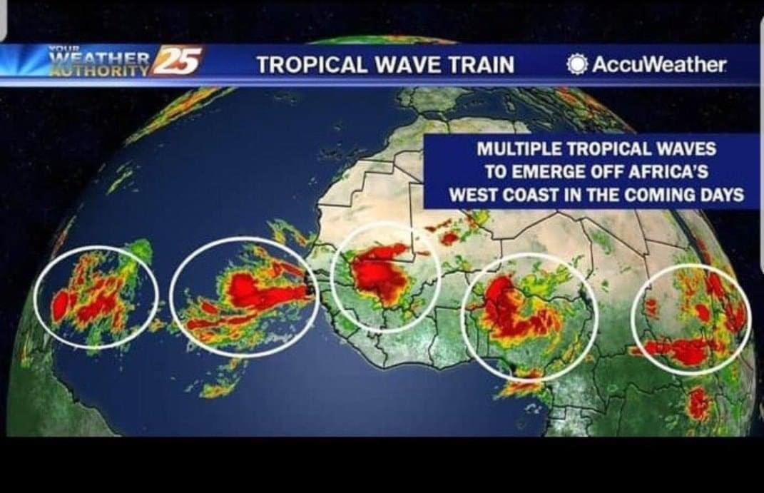 Sure 2020, why the hell not | Scrolller