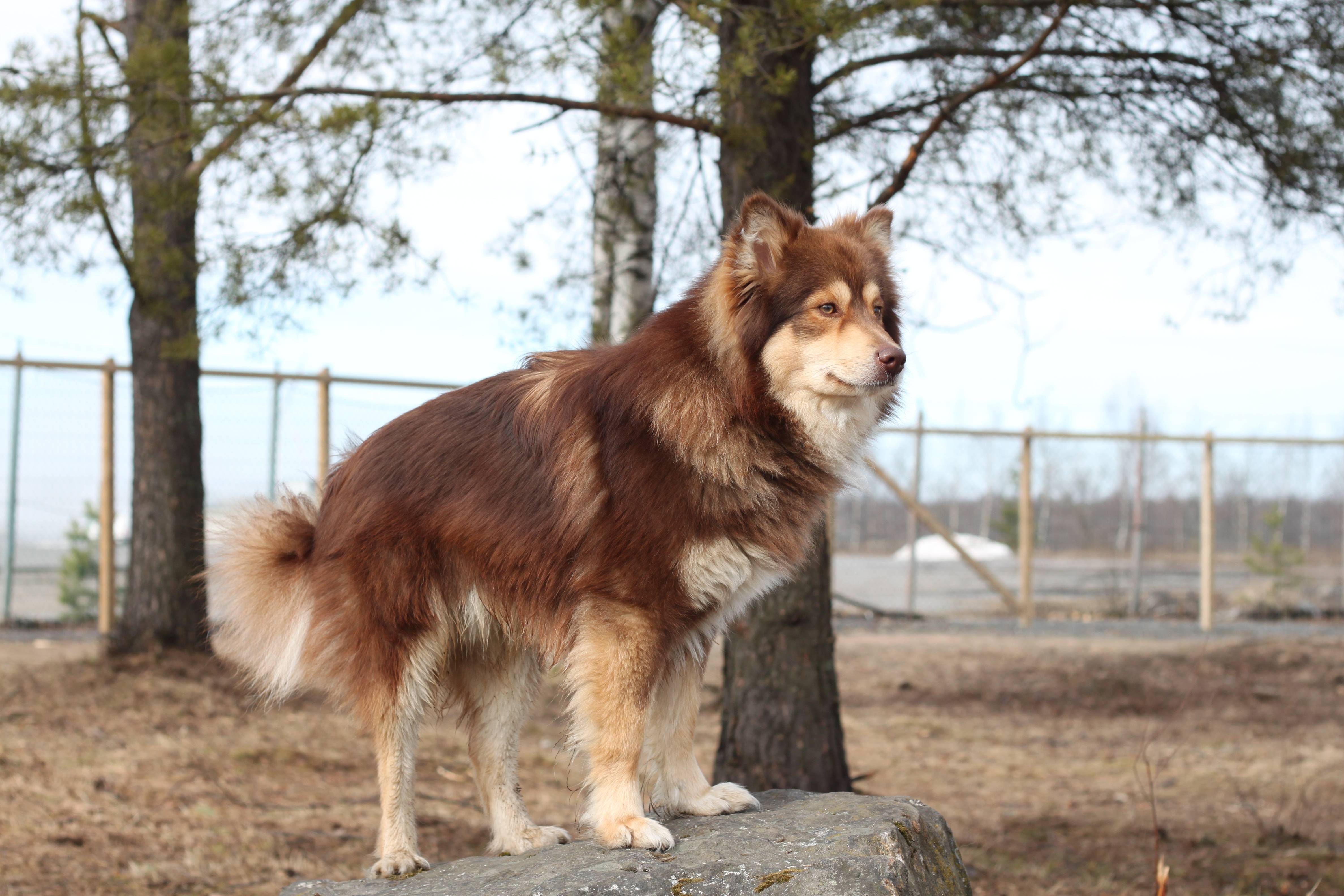 Surveying his kingdom. | Scrolller