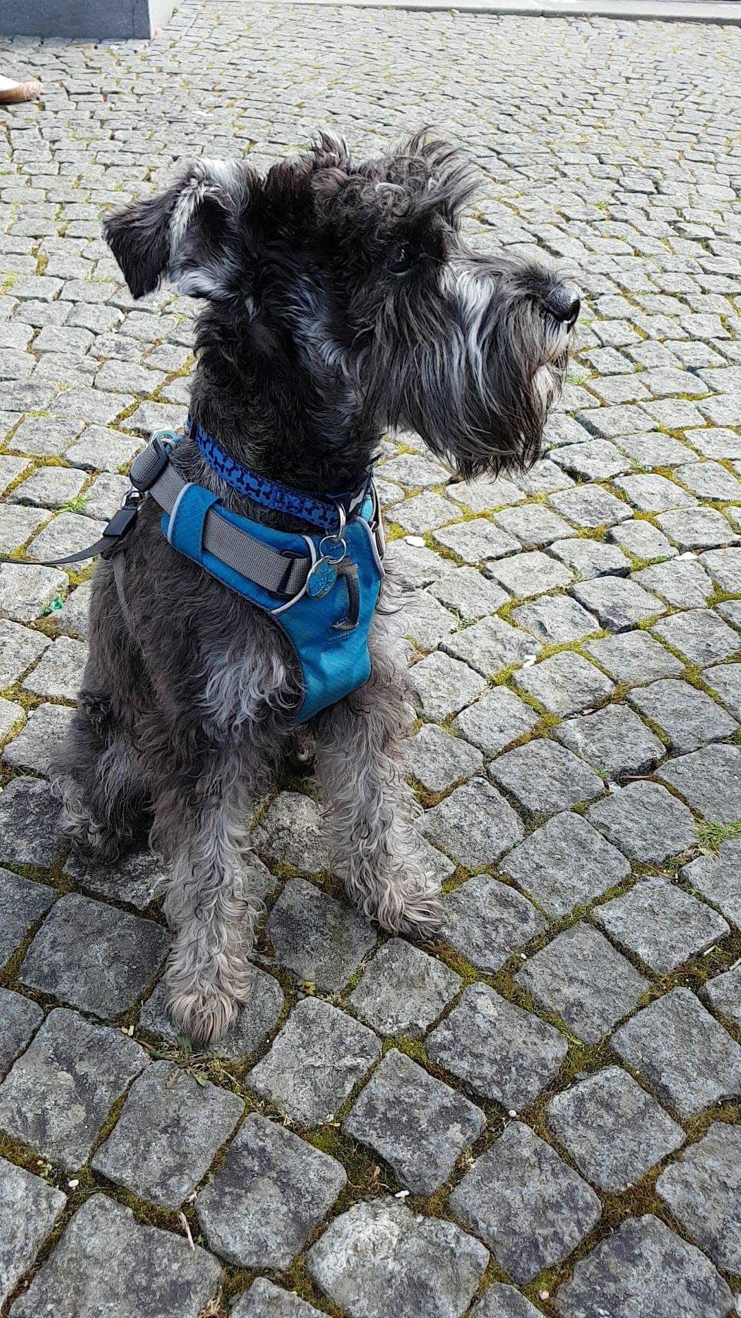 Surveying his land | Scrolller