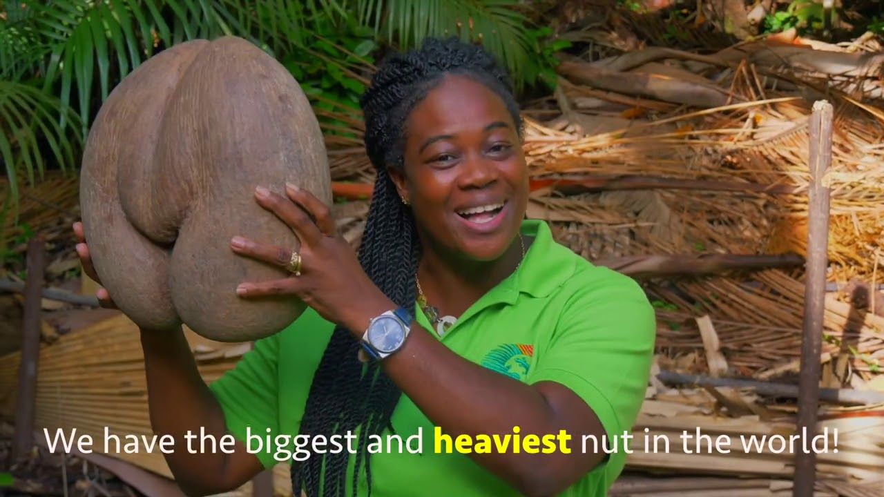 Survivors the 1st of December | Scrolller