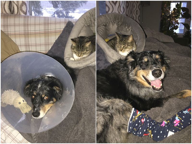 Sweet relief | Scrolller