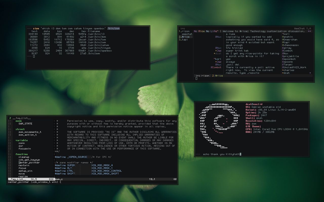 [swm] transparent double-borders? | Scrolller