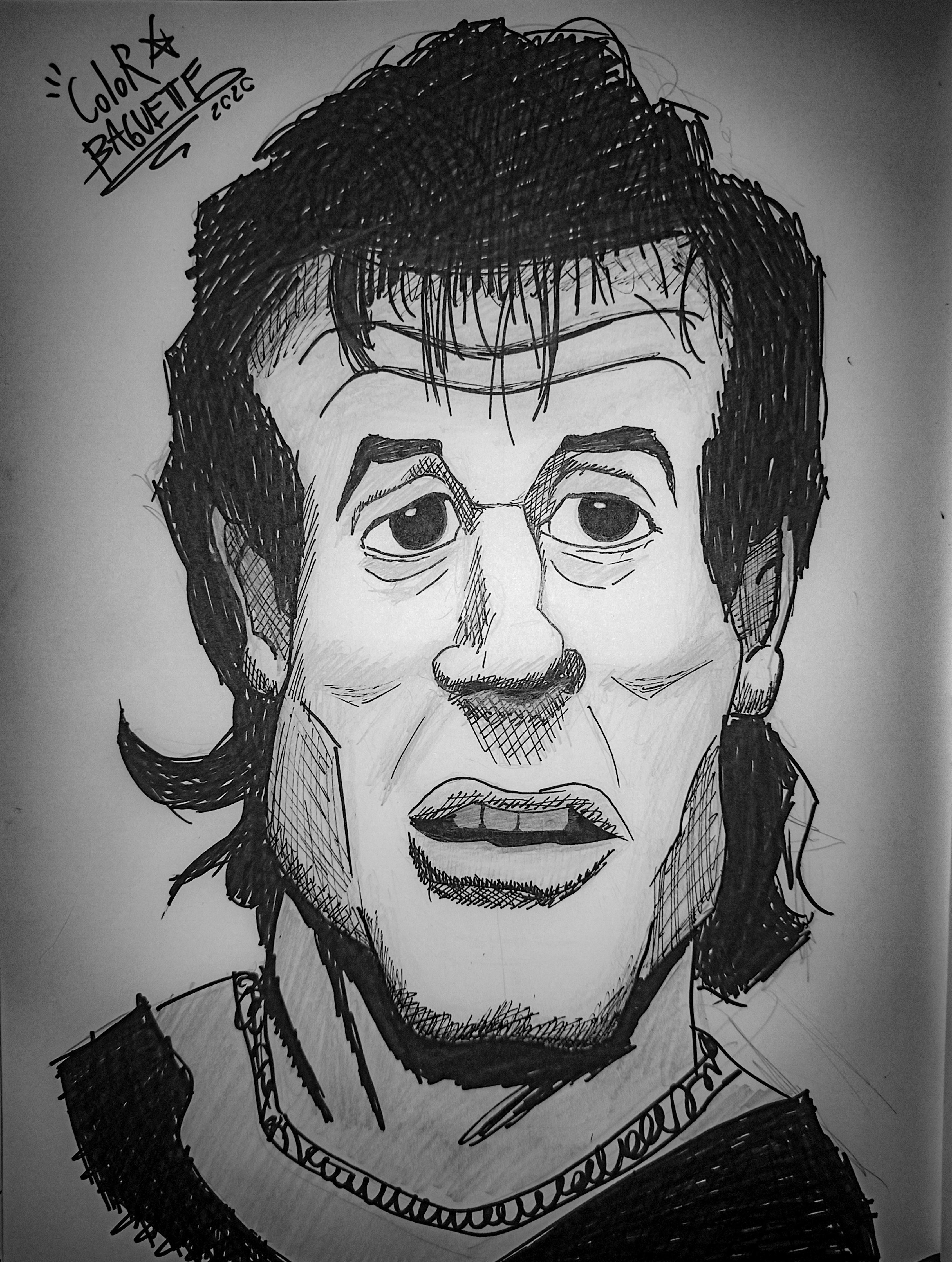 Sylvester stallone | Scrolller
