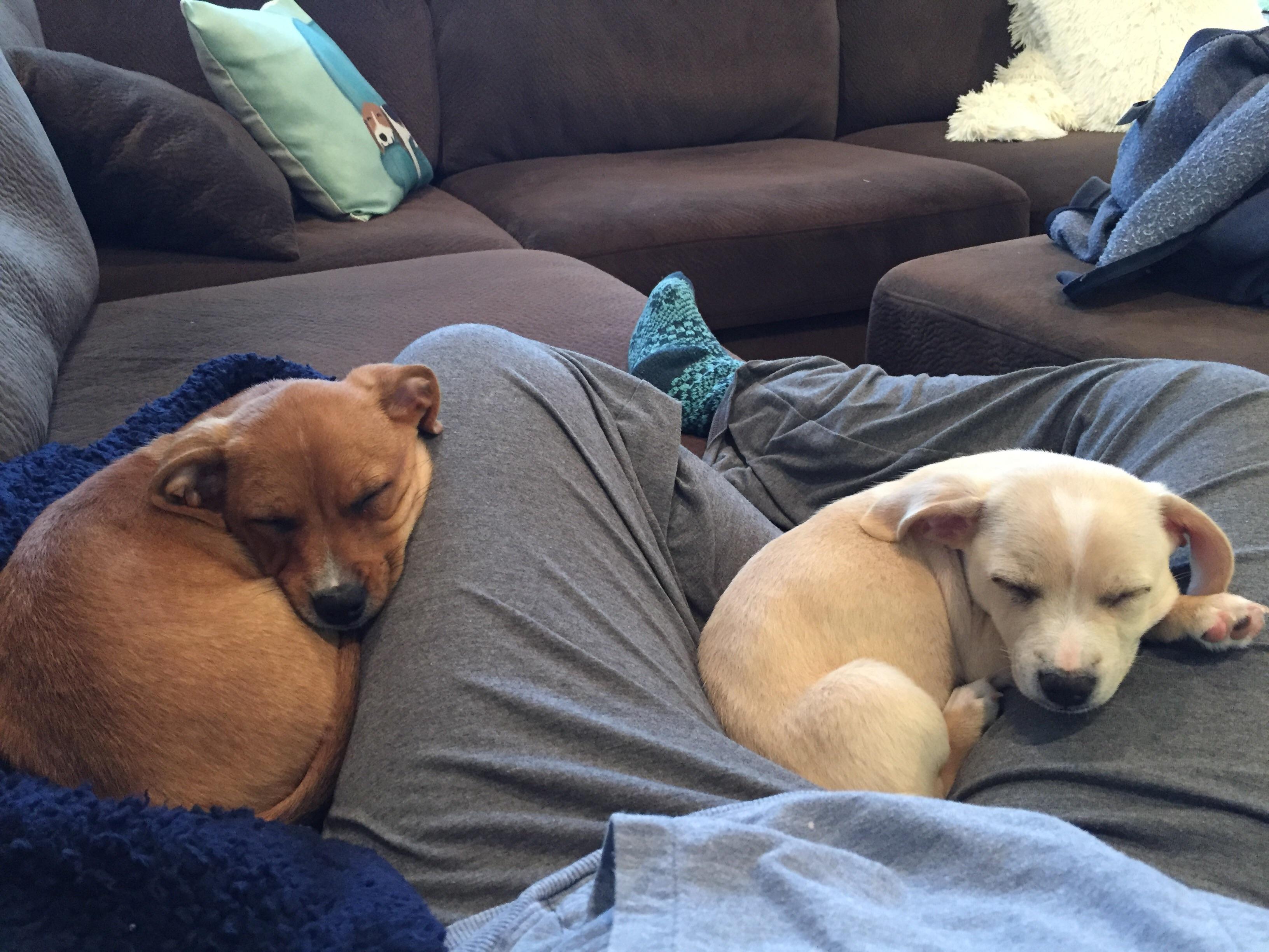 Synchronized Sleeping | Scrolller