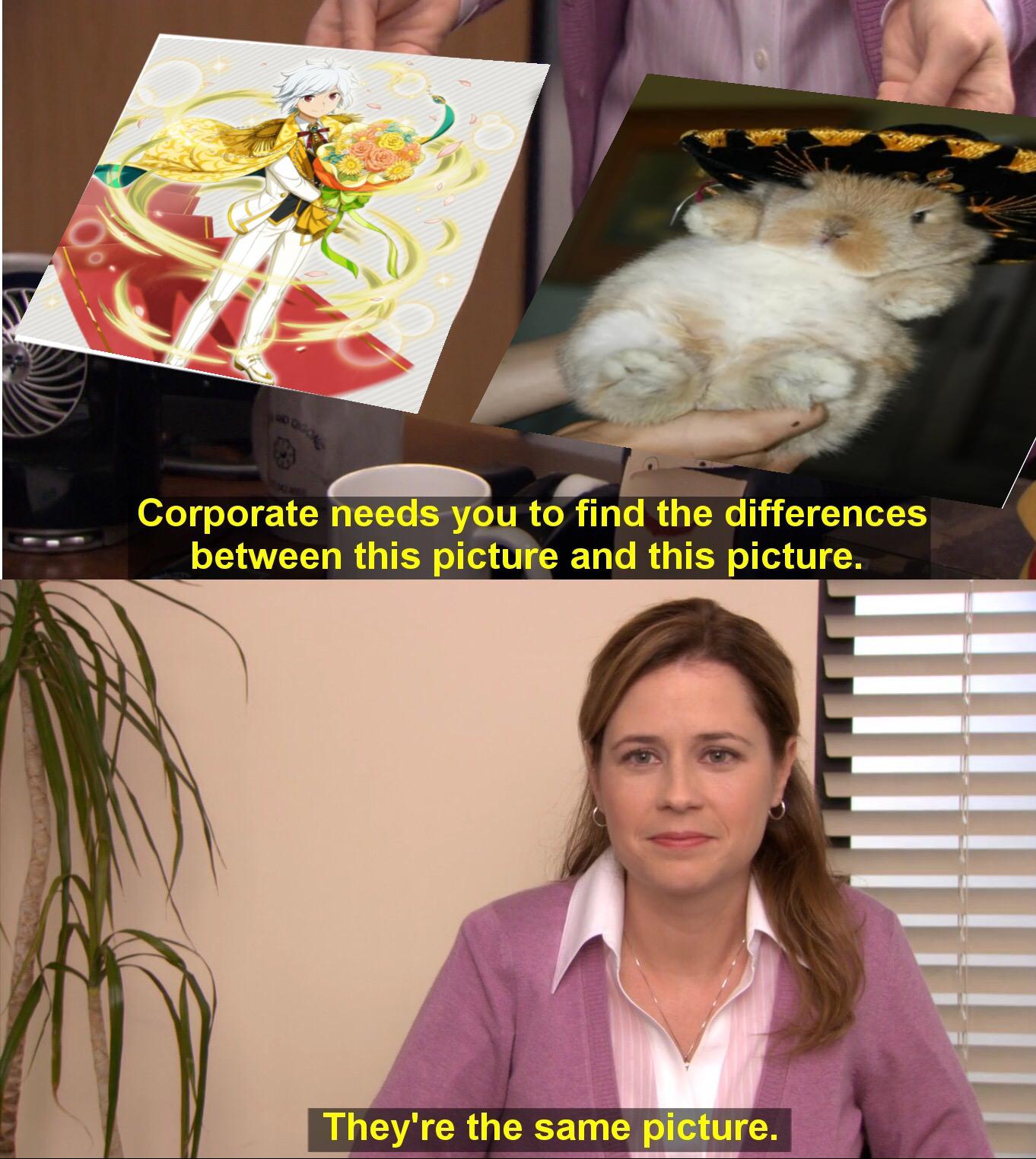 Taco Bell | Scrolller