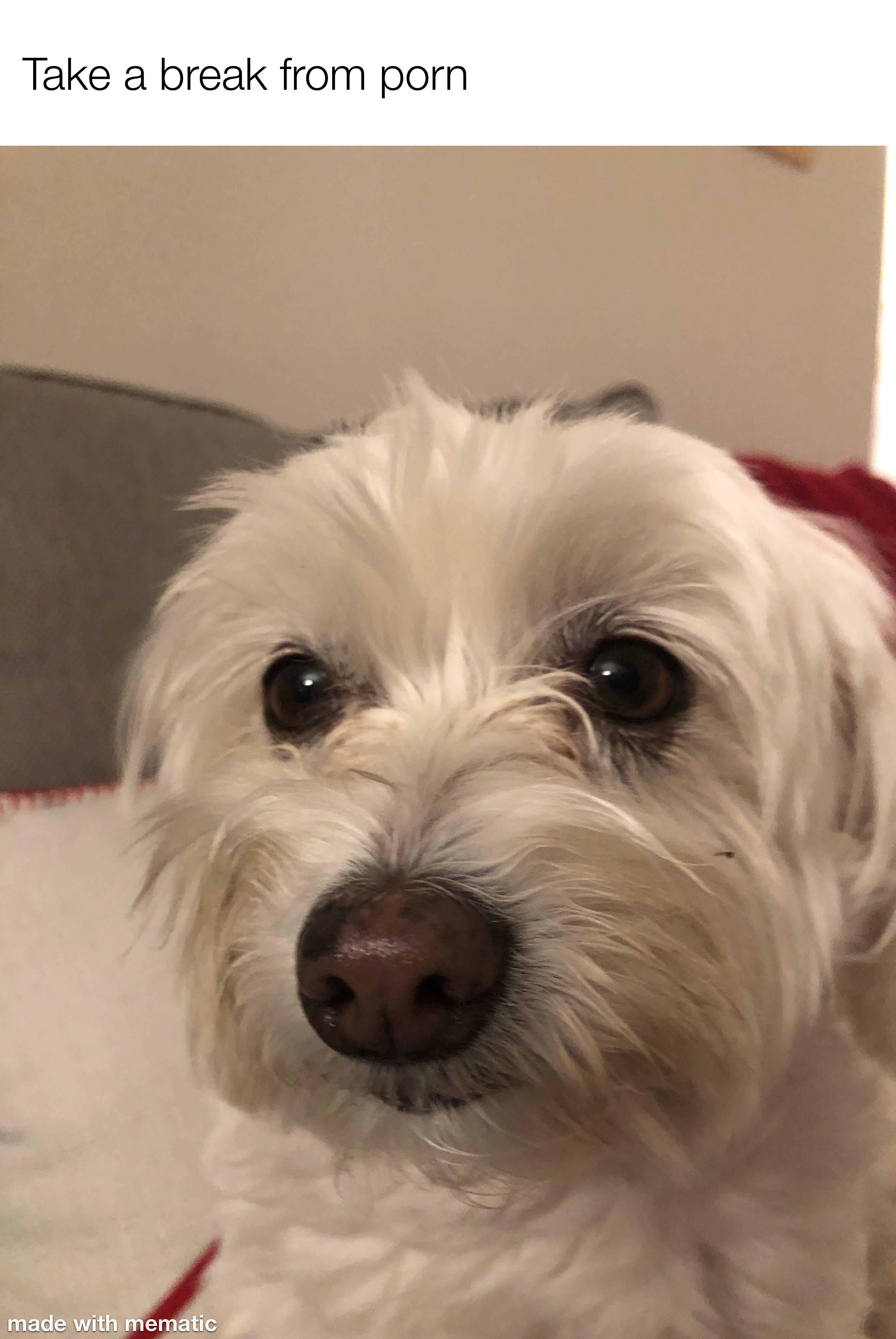 Take a break | Scrolller