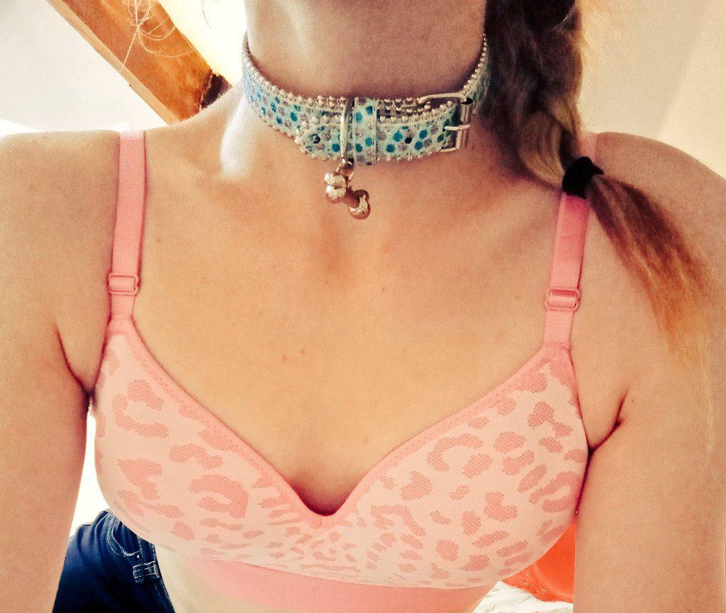 Walkies? 🐾 | Scrolller