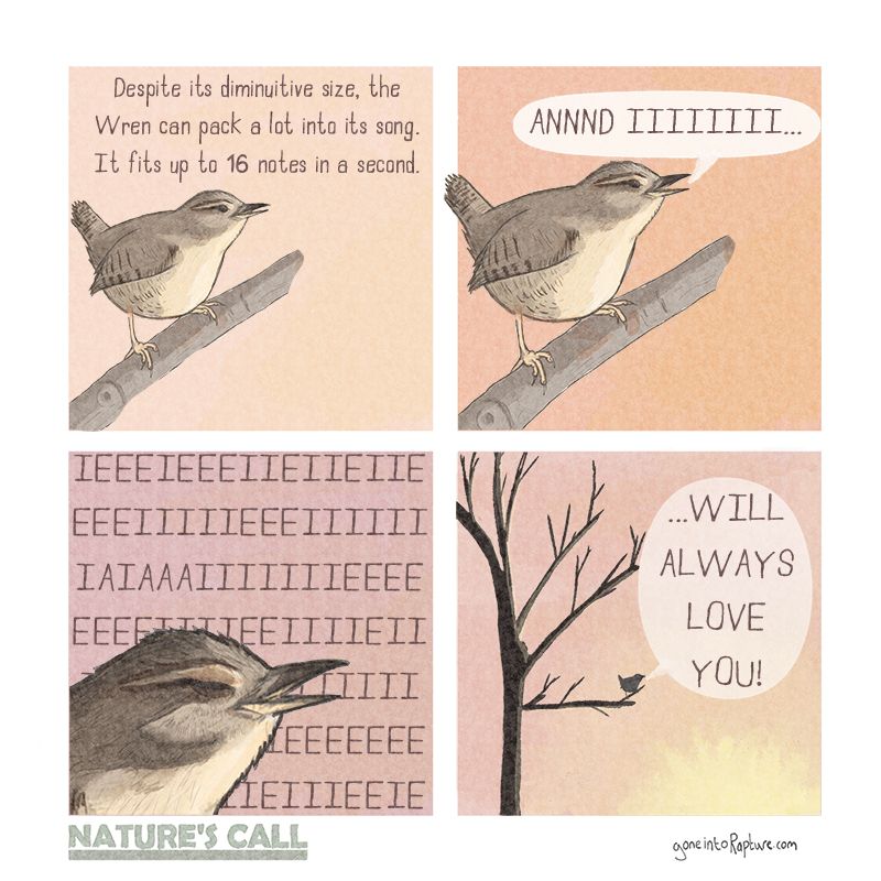 Take Note | Scrolller