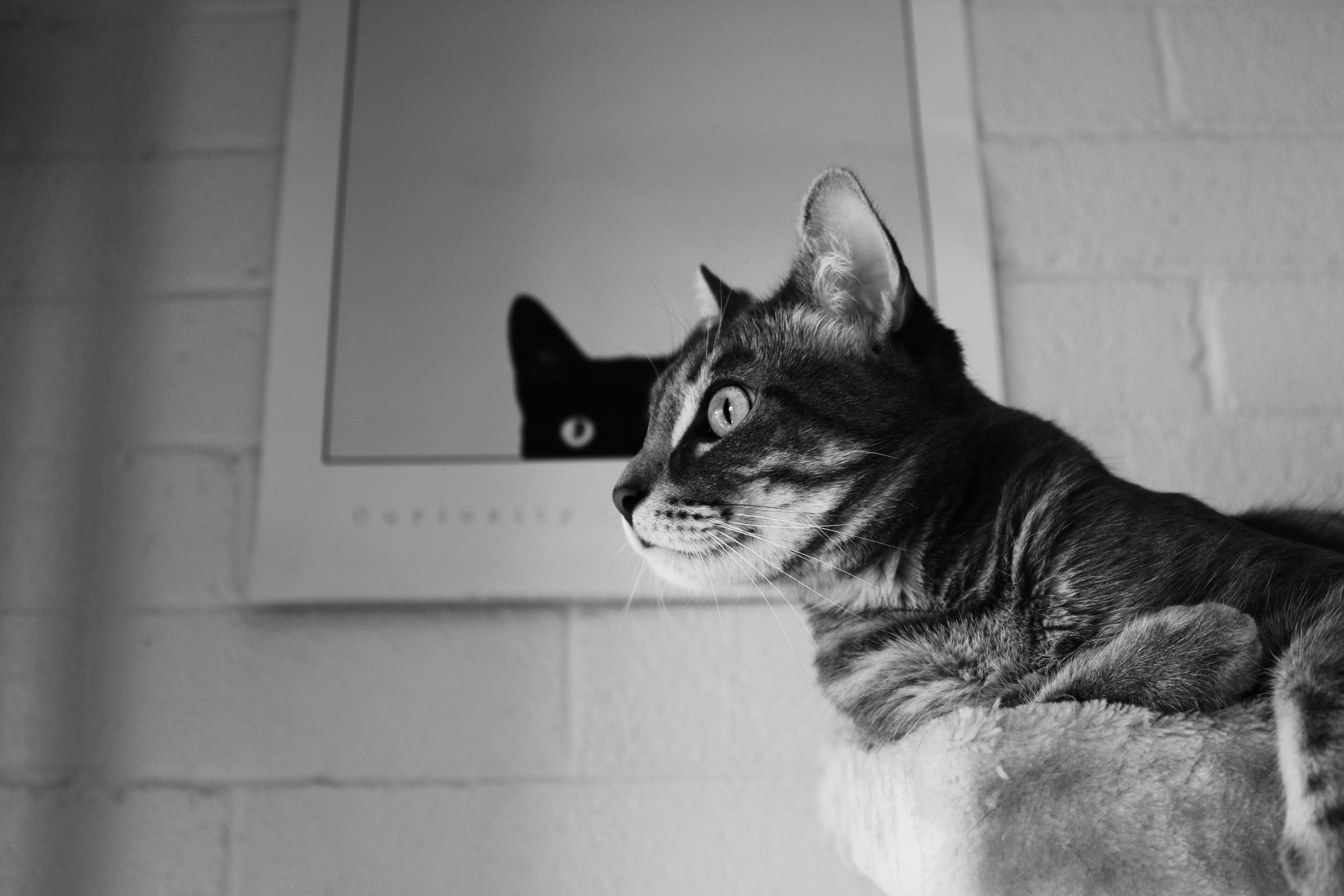 Taken with my canon. | Scrolller