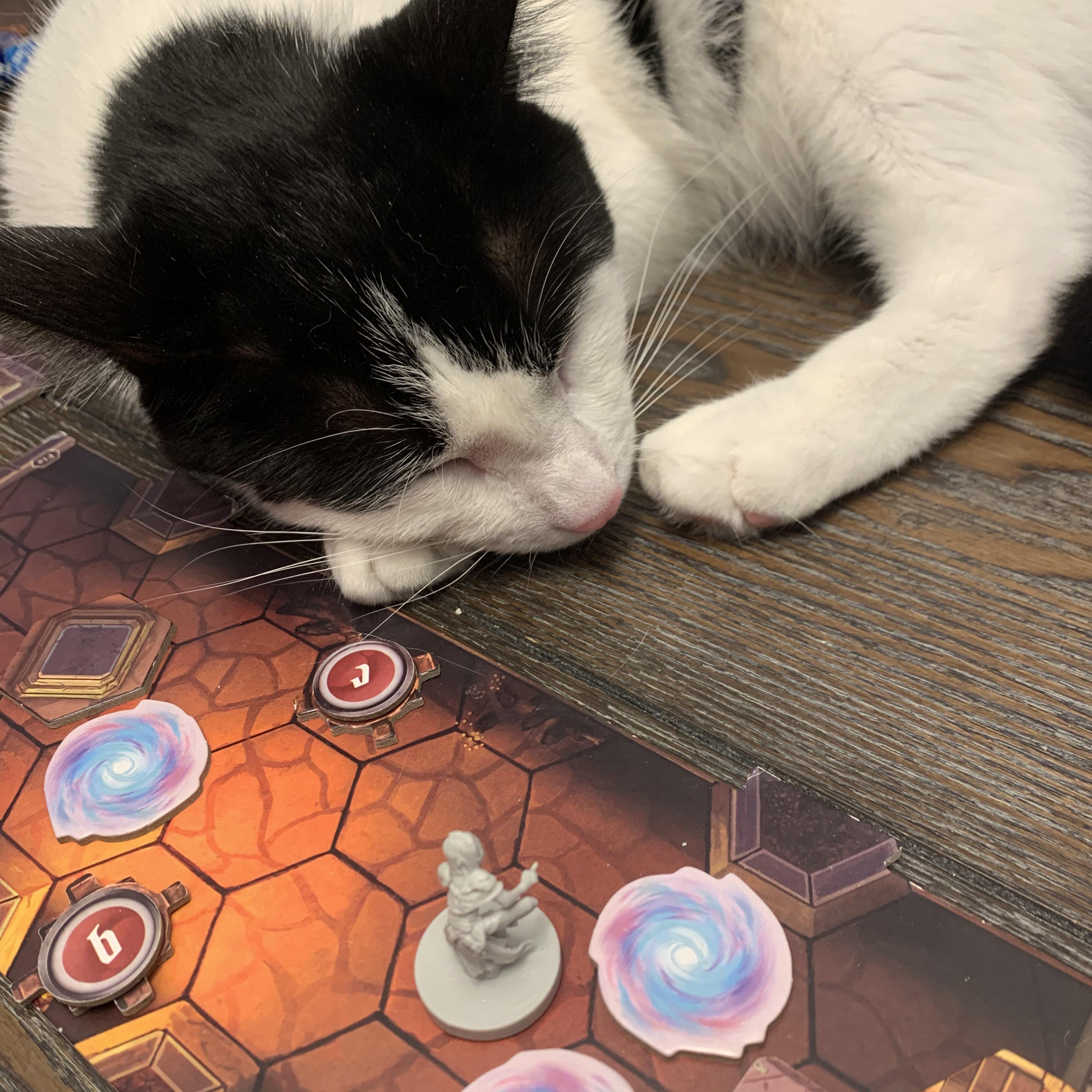 Taking a long rest | Scrolller