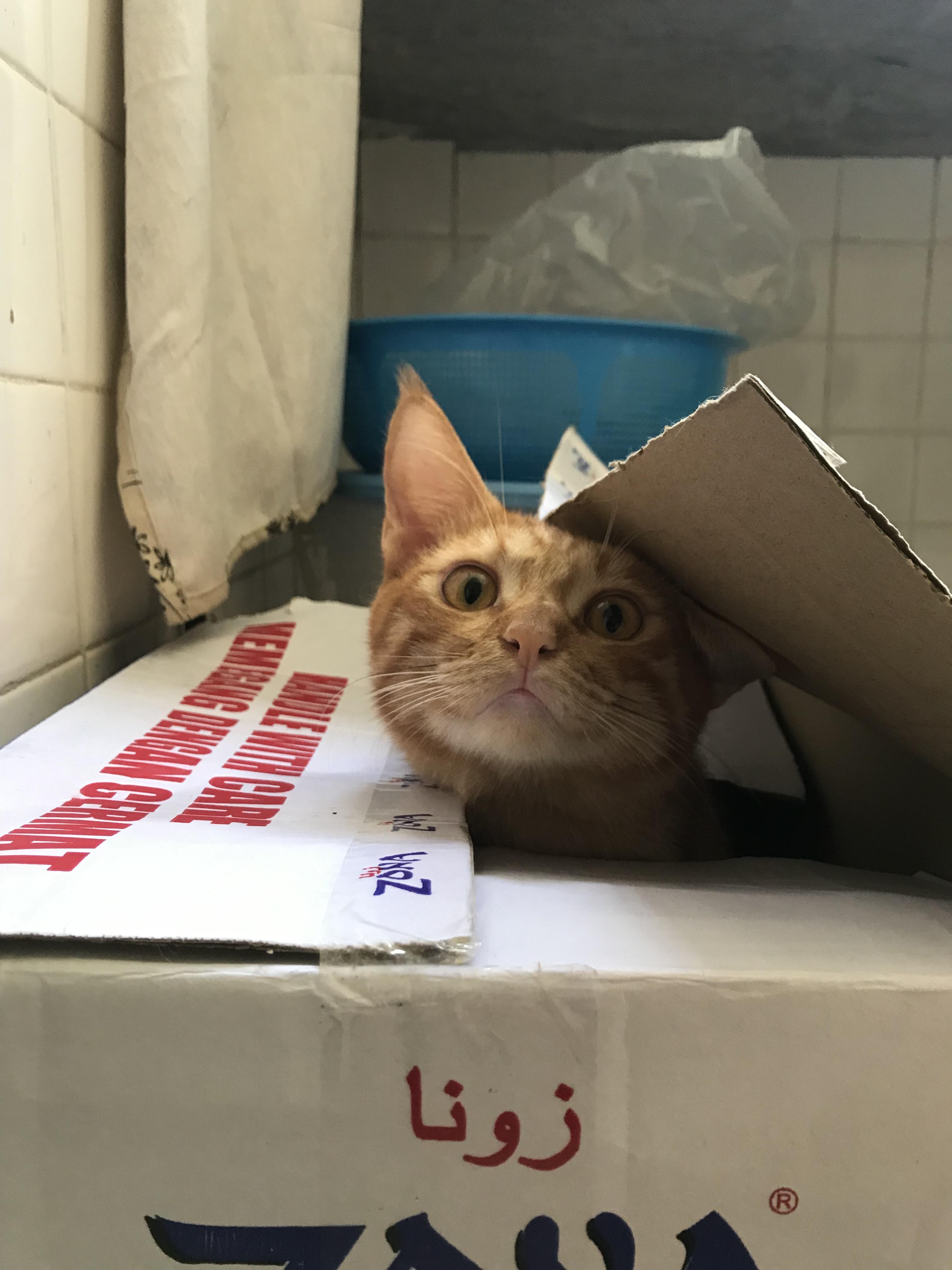 Taking a peak | Scrolller