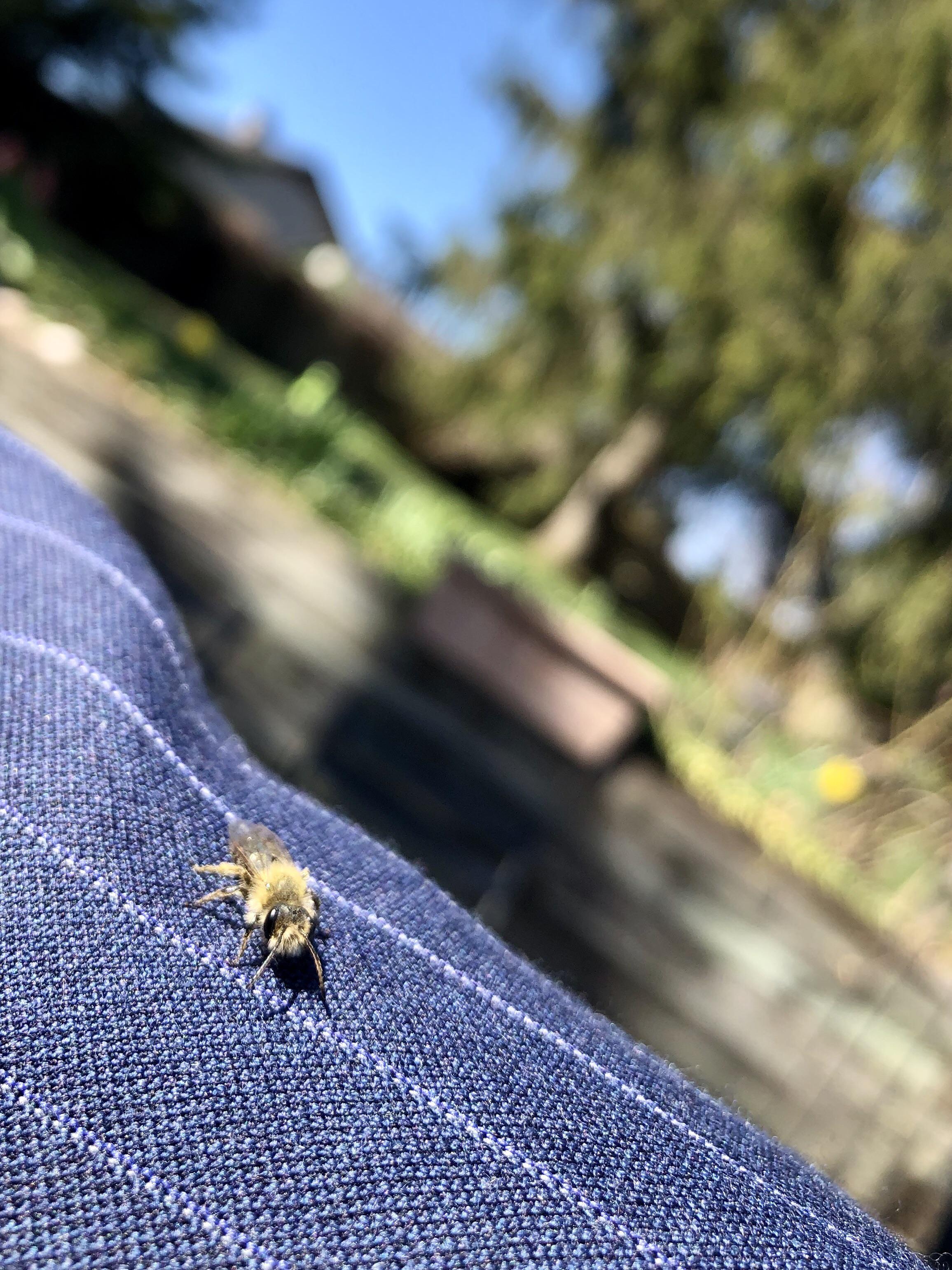 Taking a warm rest | Scrolller