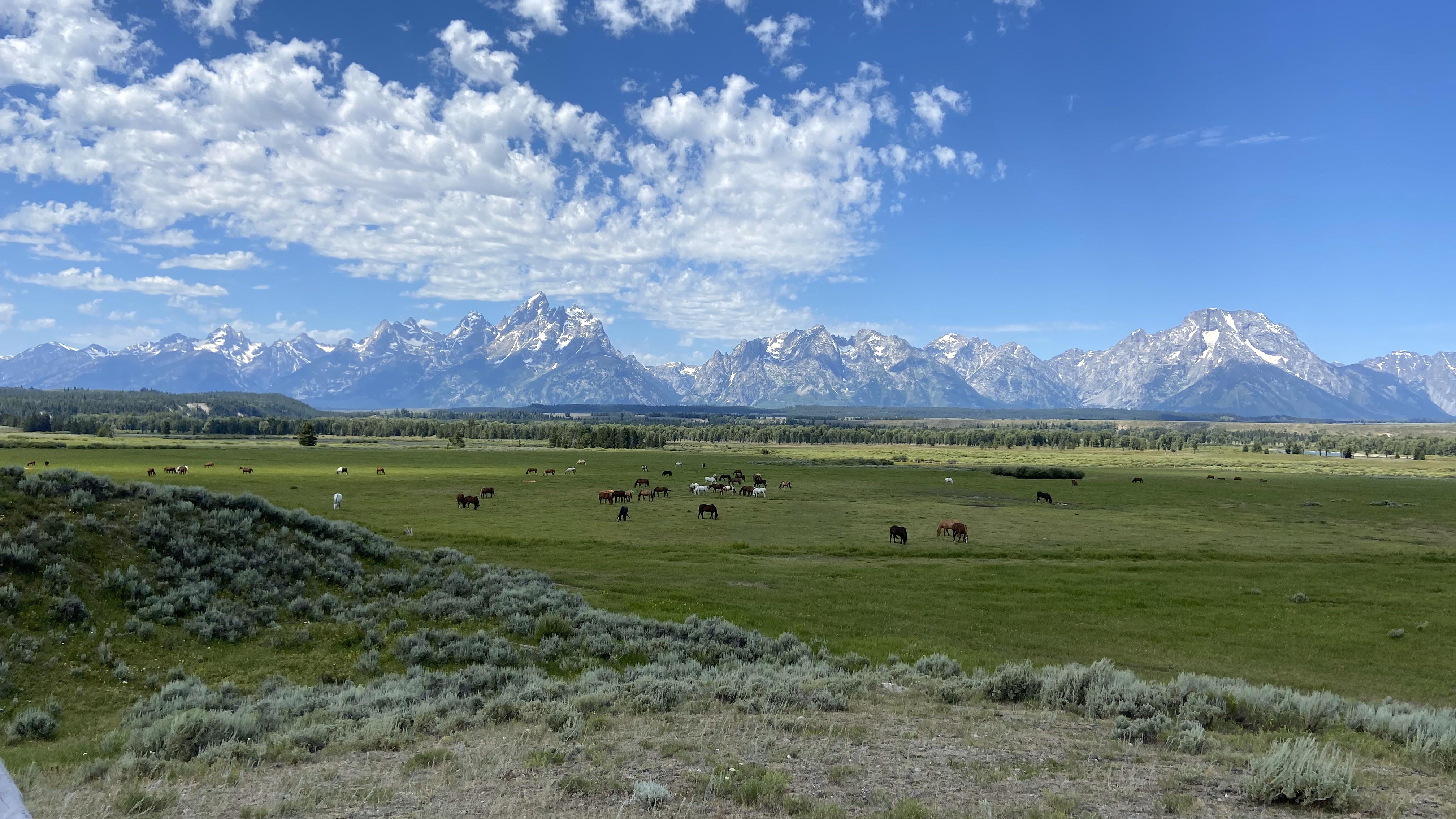 Taking photos of the Tetons on my iPhone 11 really showed me how good this camera was | Scrolller