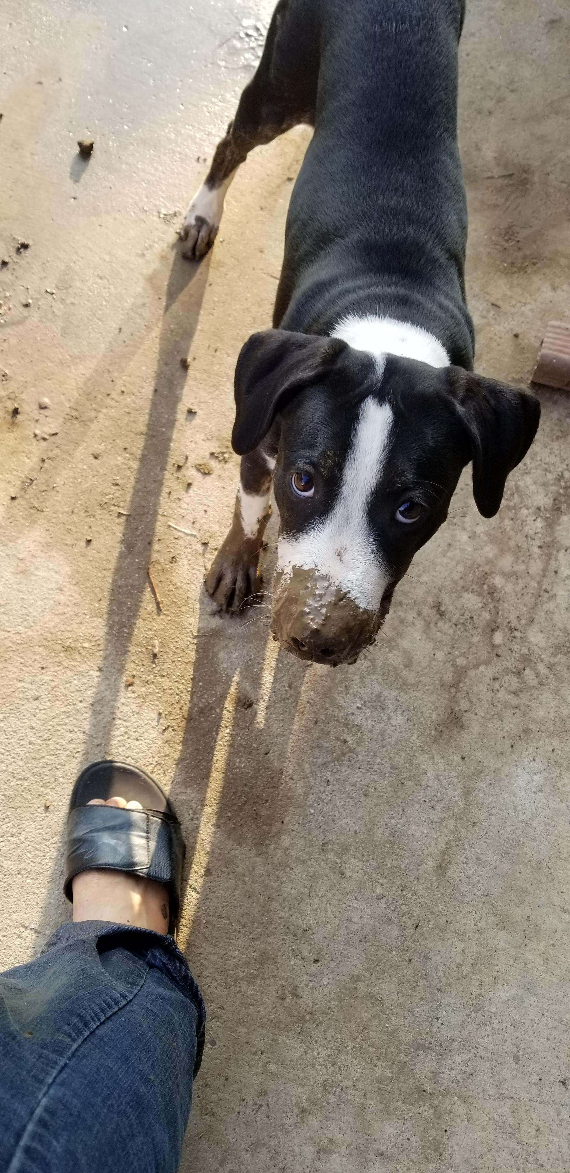 Taking tracking seriously | Scrolller