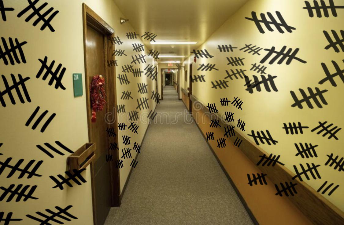 Tally Hall | Scrolller