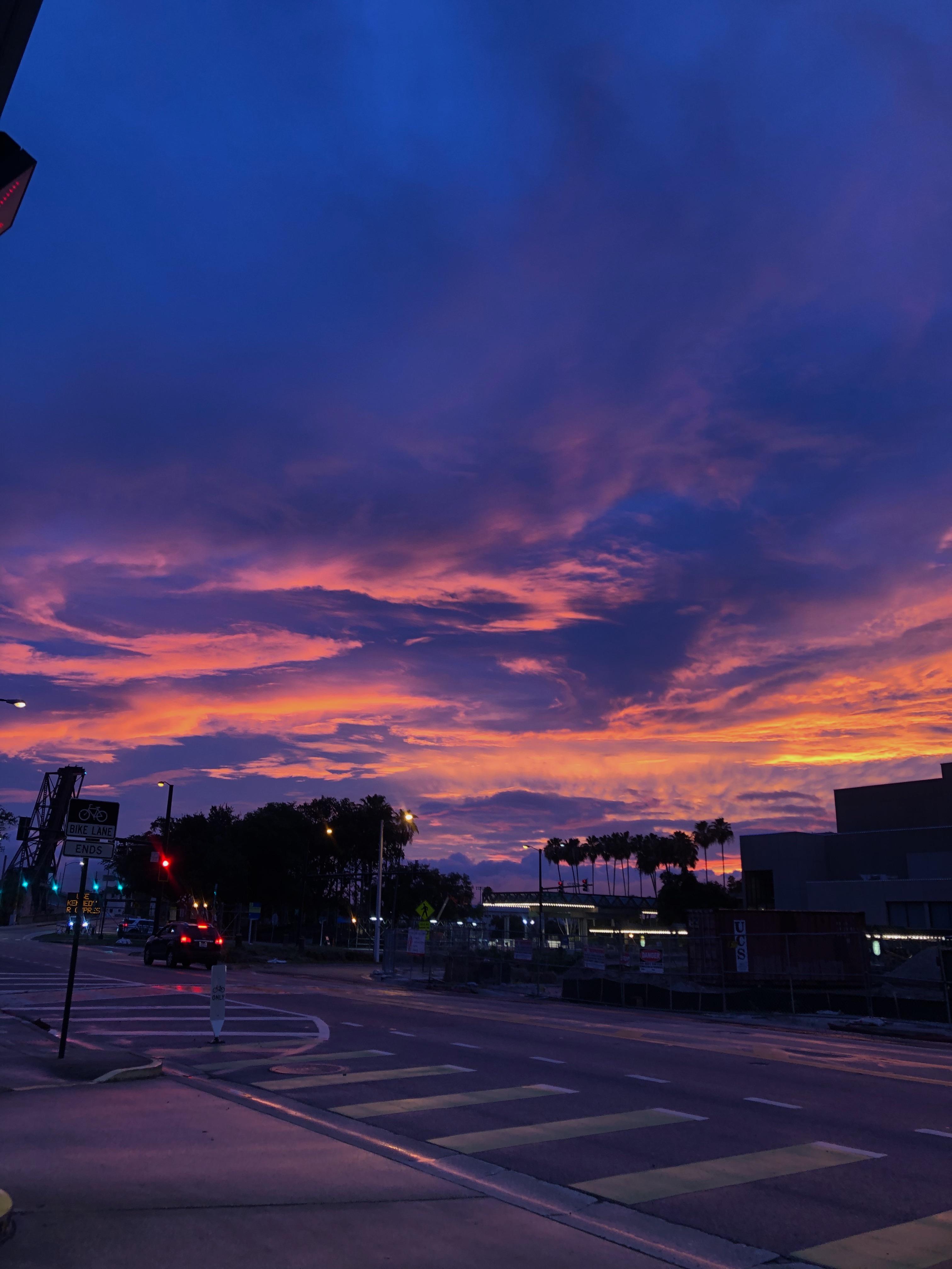 Tampa, FL | Scrolller