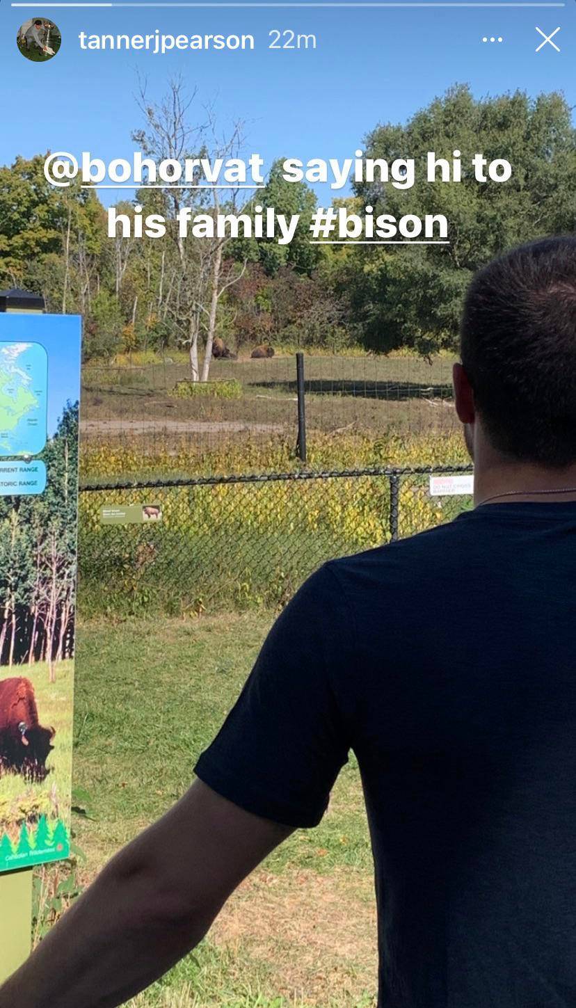 Tanner Pearson with the Horvat - Bison joke. | Scrolller