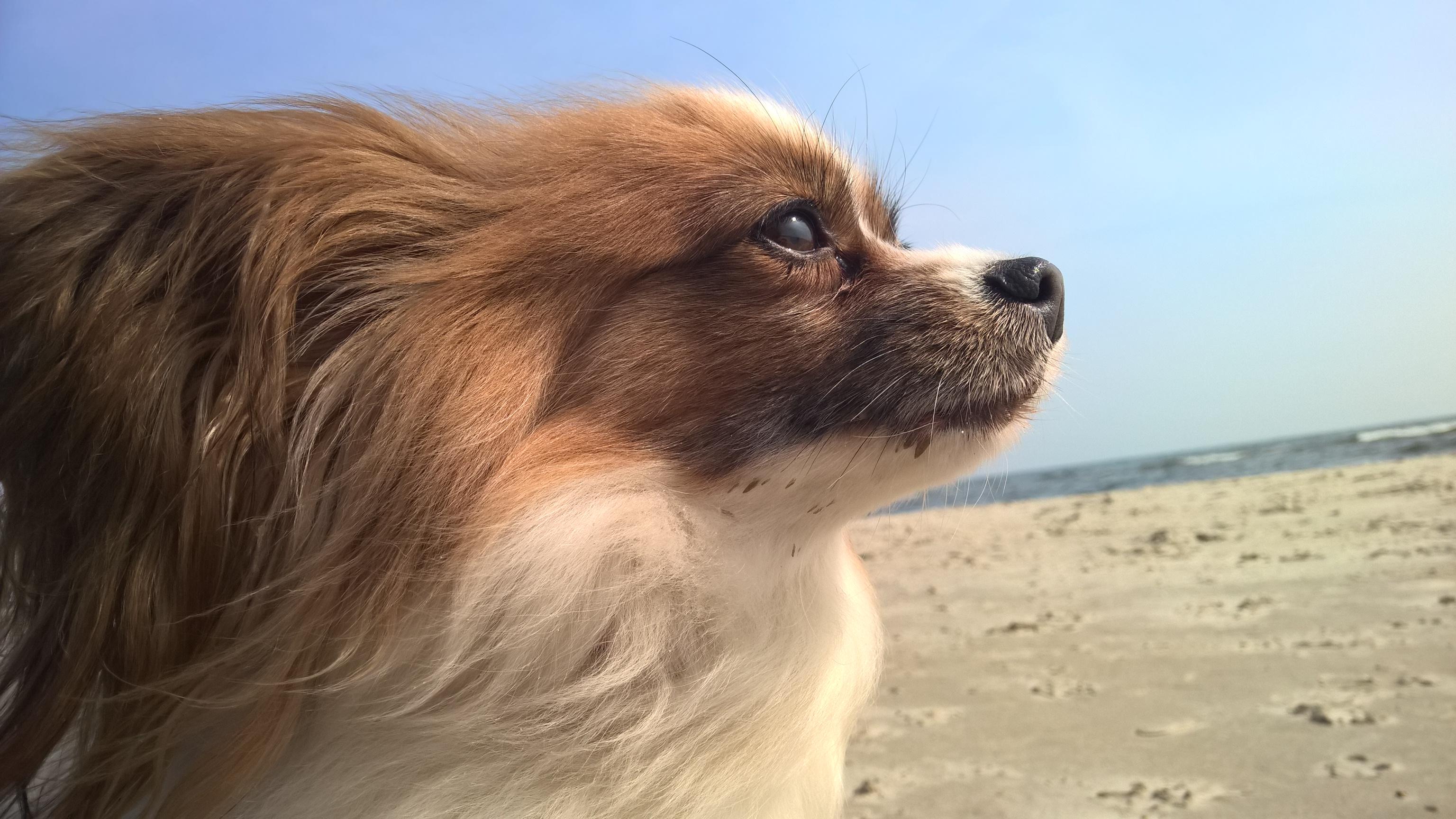 Tara, about four years ago | Scrolller