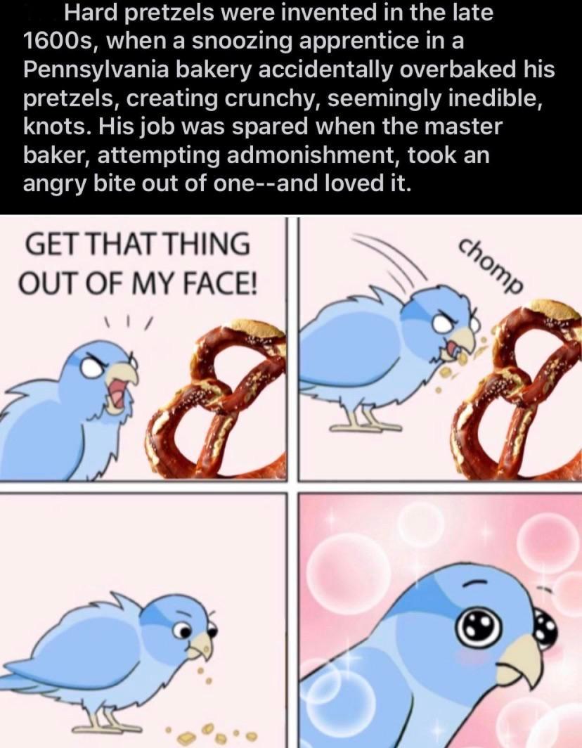 Task failed successfully | Scrolller