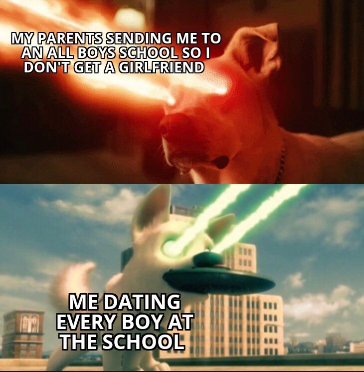 Tbf what did you expect? | Scrolller