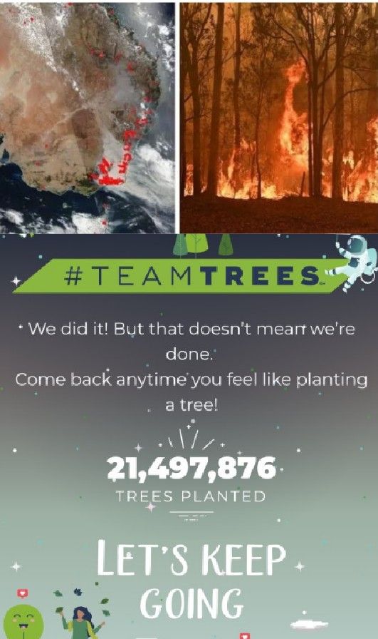 #TeamTrees should plant trees in Australia | Scrolller