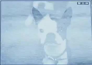 Technical Difficulties | Scrolller