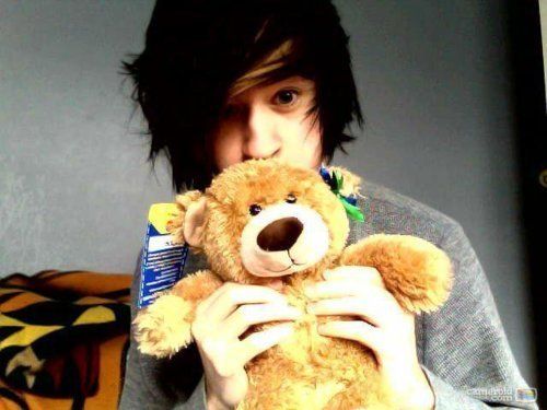 Teddy Bear | Scrolller