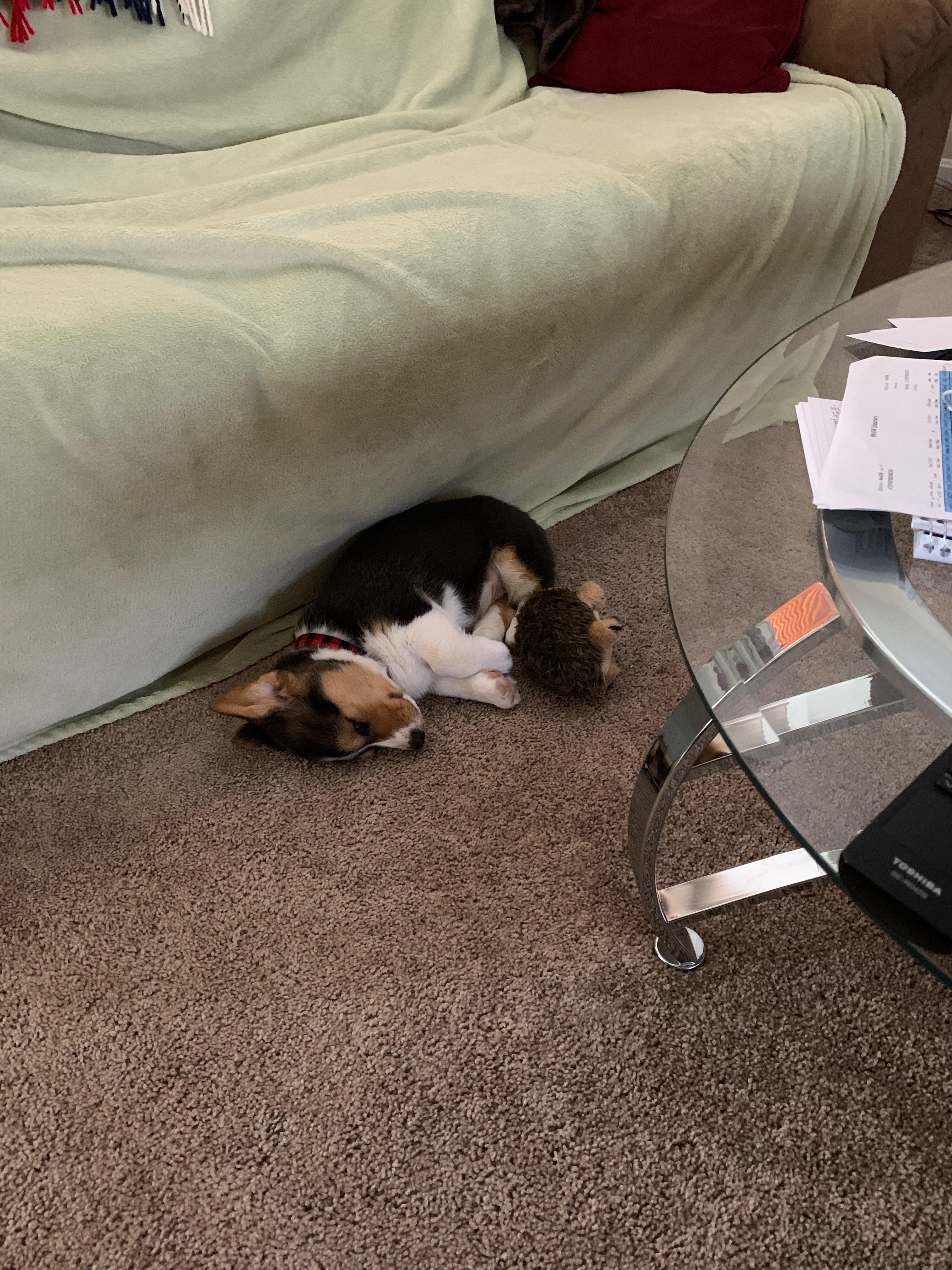 Teleworking is exhausting | Scrolller