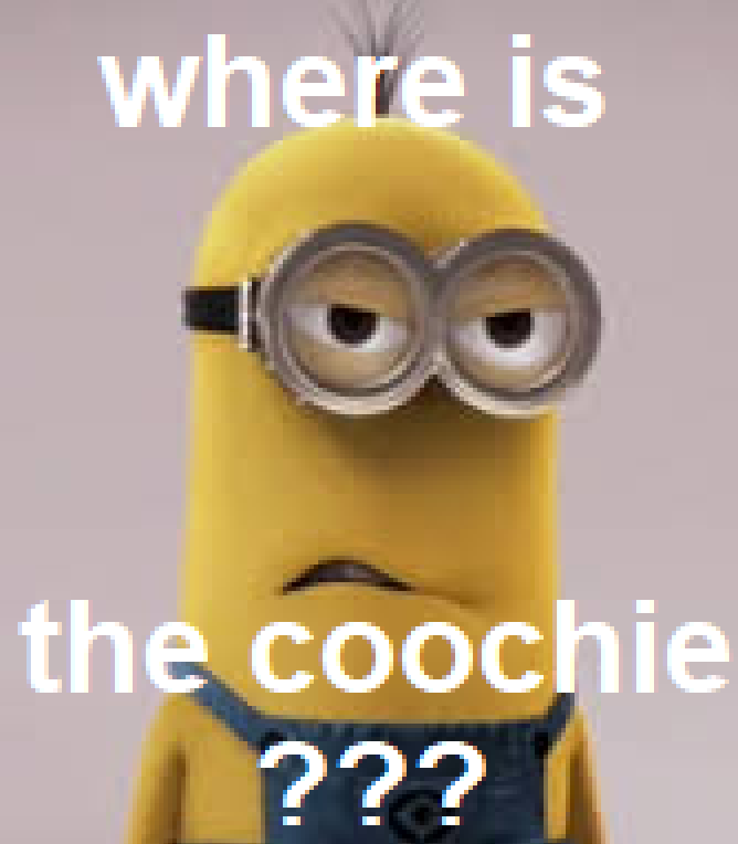 tell me where it is I NEED THE COOCHIE | Scrolller
