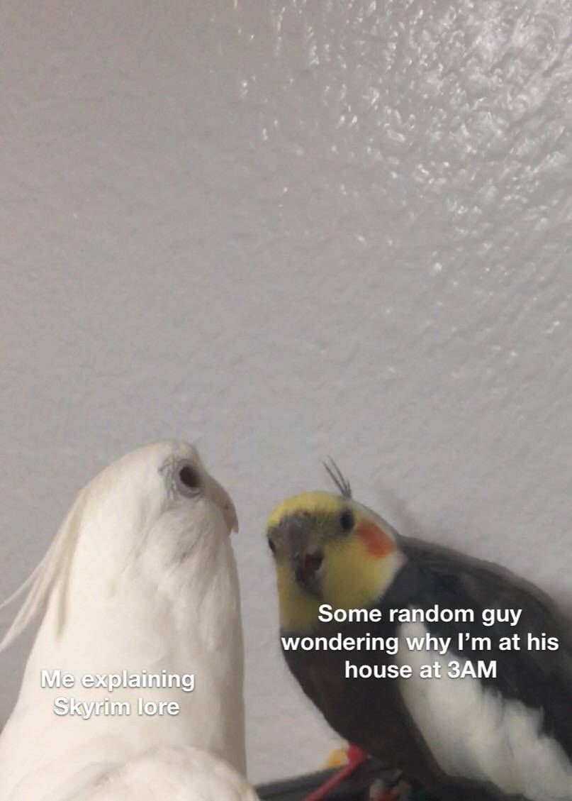 Template: my birds | Scrolller