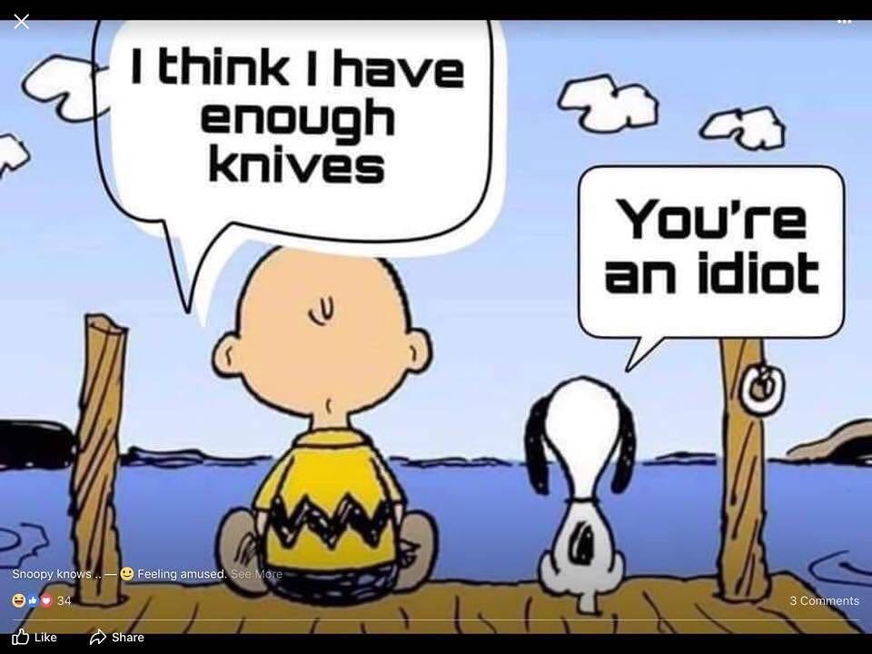 Temporary Thoughts: | Scrolller