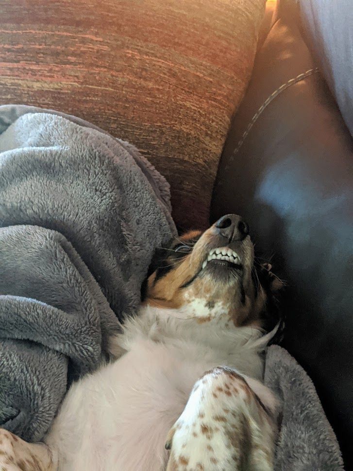 Text from wife, zero context | Scrolller