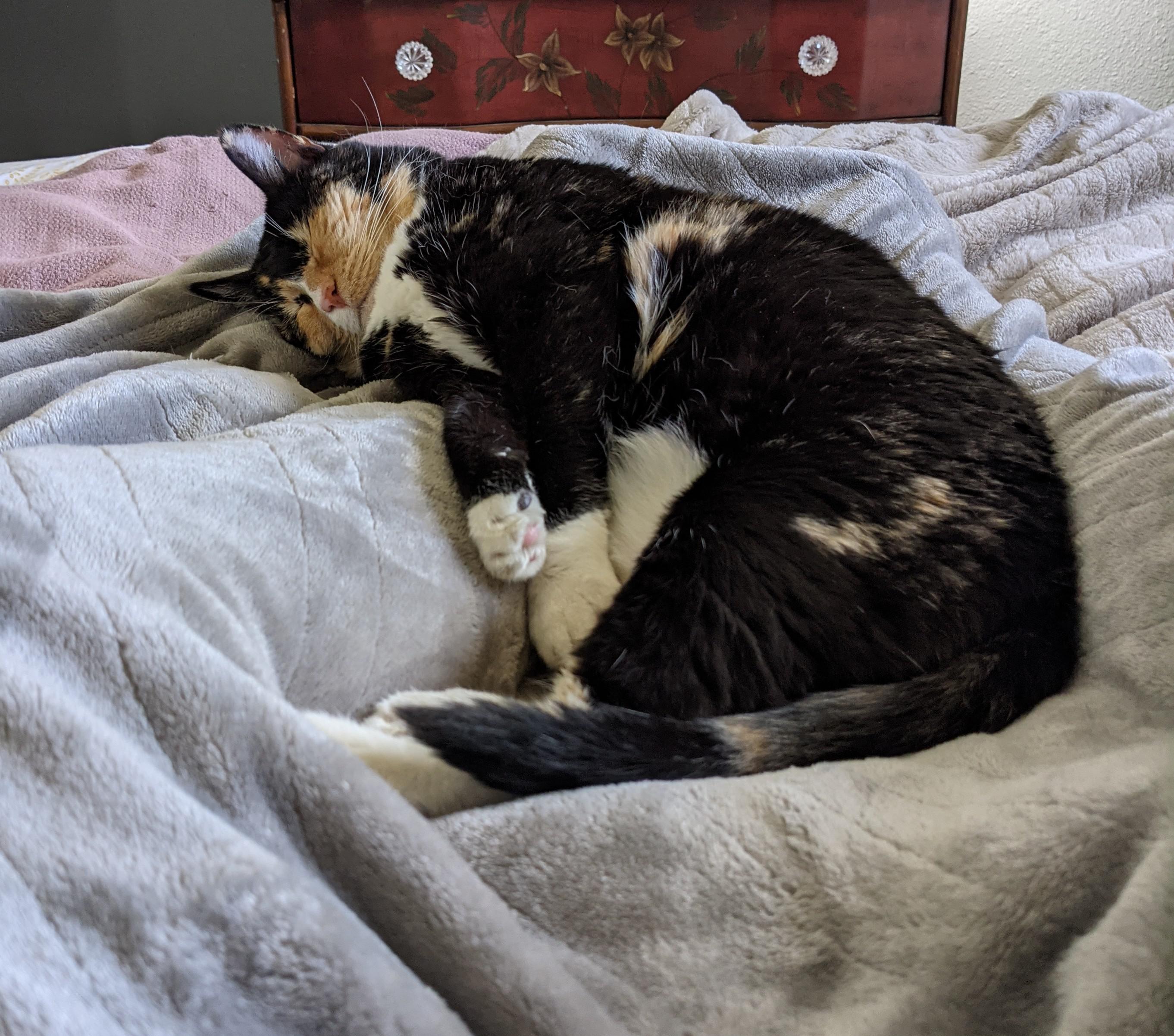 Thankful 💖 | Scrolller