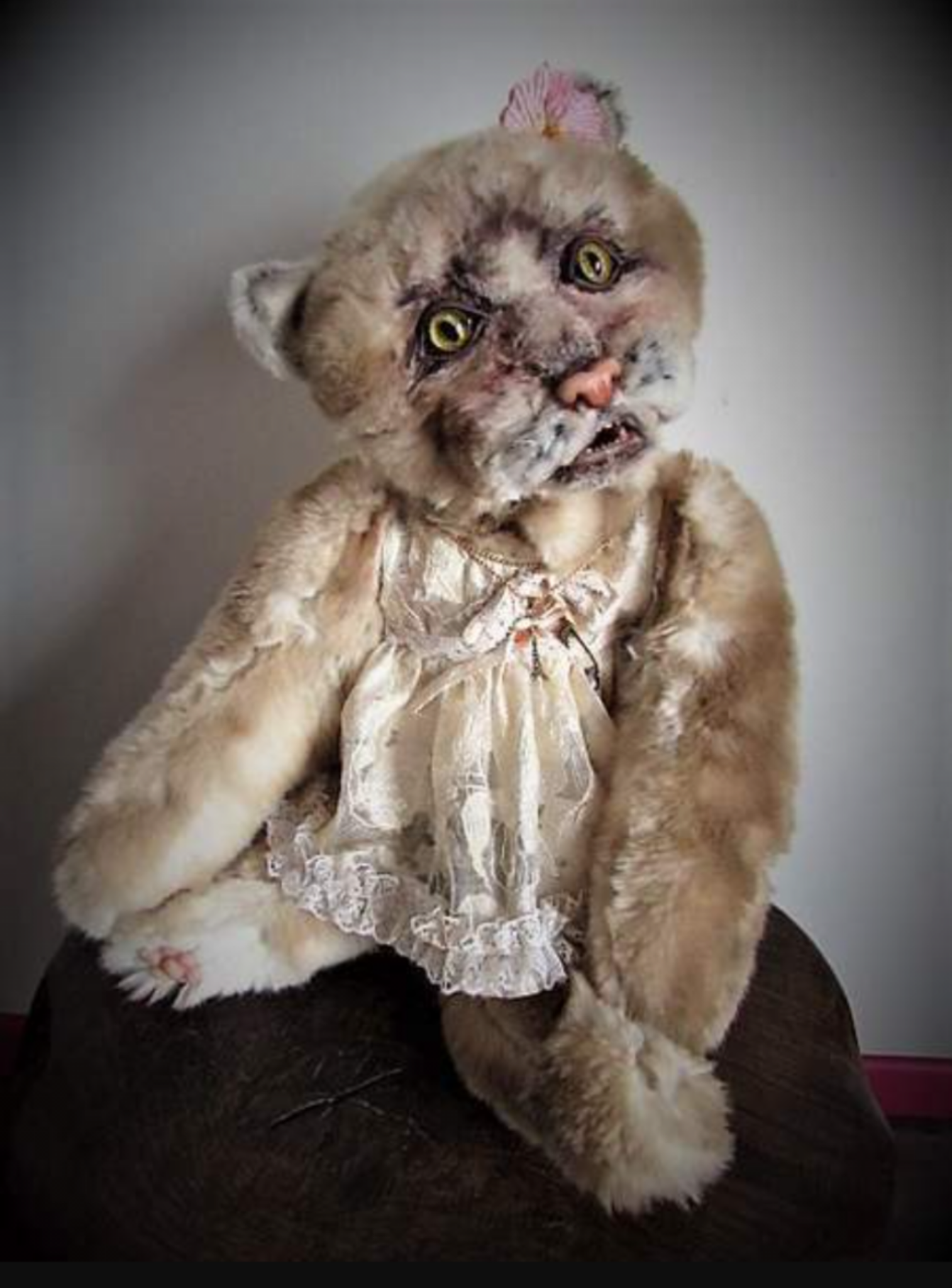 Thanks, I hate "shabby chic realistic teddy cats" | Scrolller