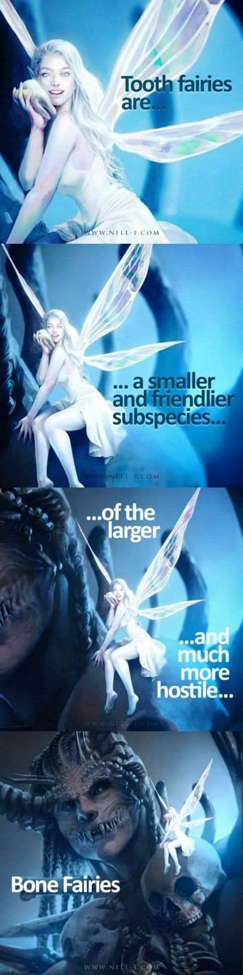 Tooth Fairys Nearest Cousin | Scrolller