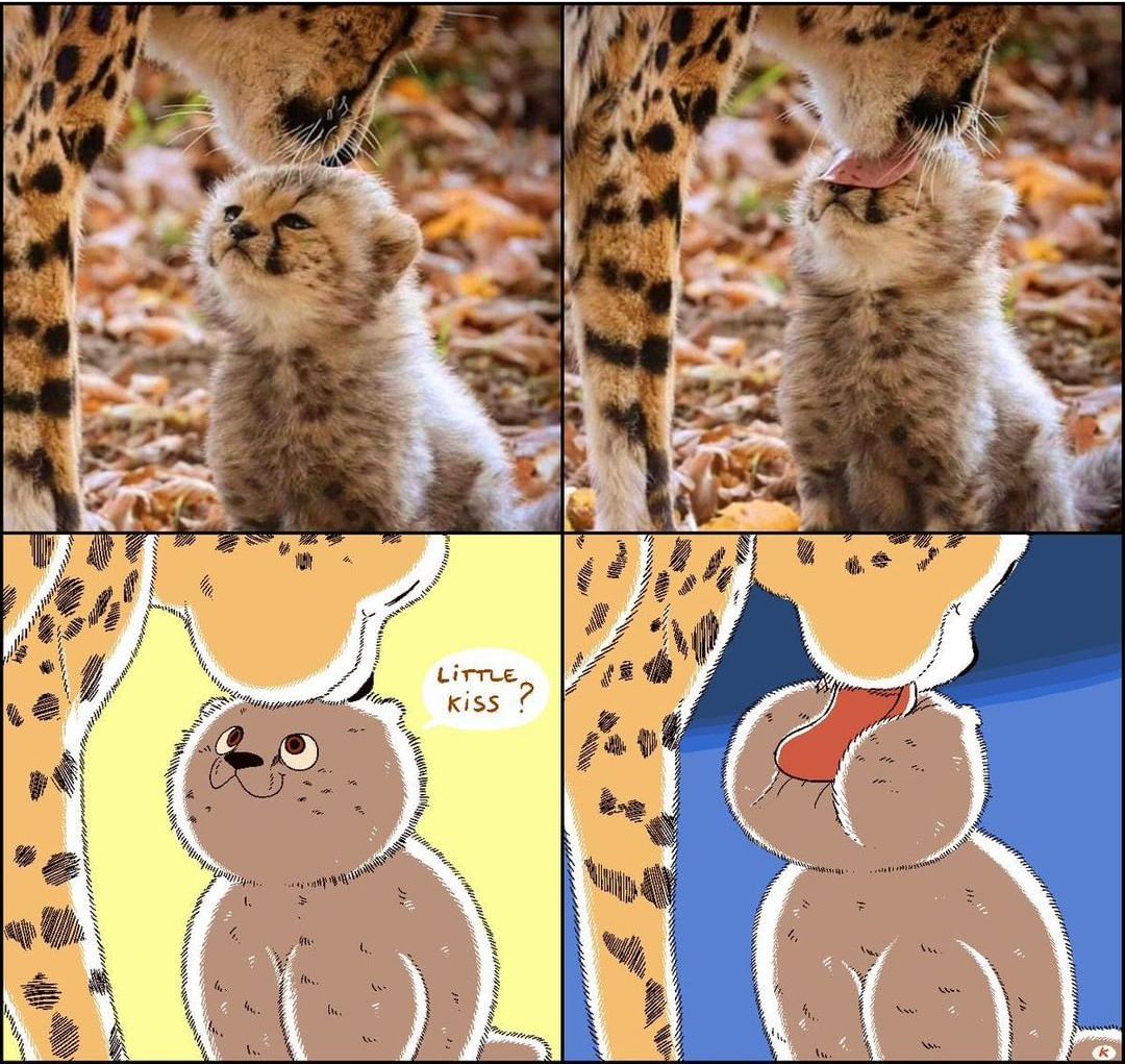 Thanks I love animal kisses | Scrolller