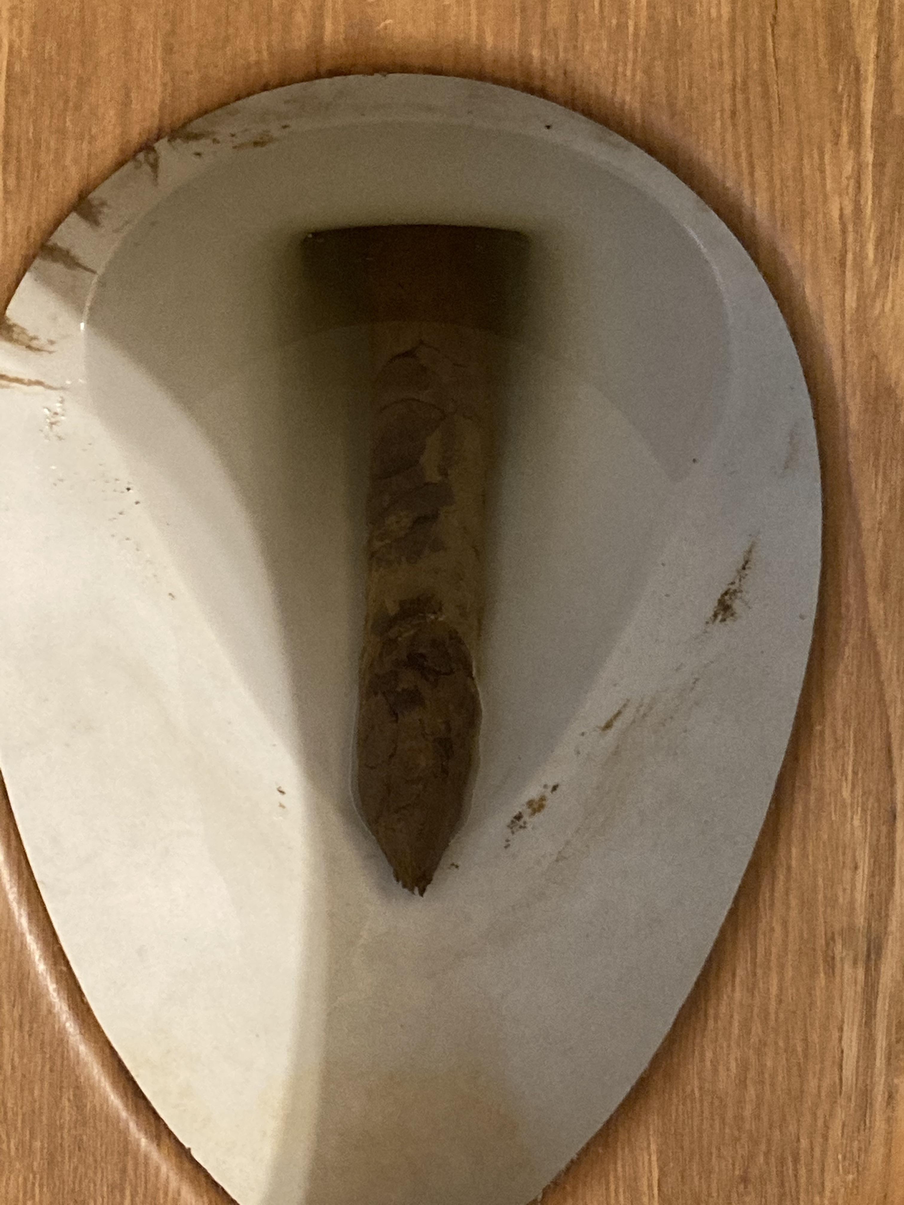 Discover more like Shit: That hurt... and Related Content | Scrolller