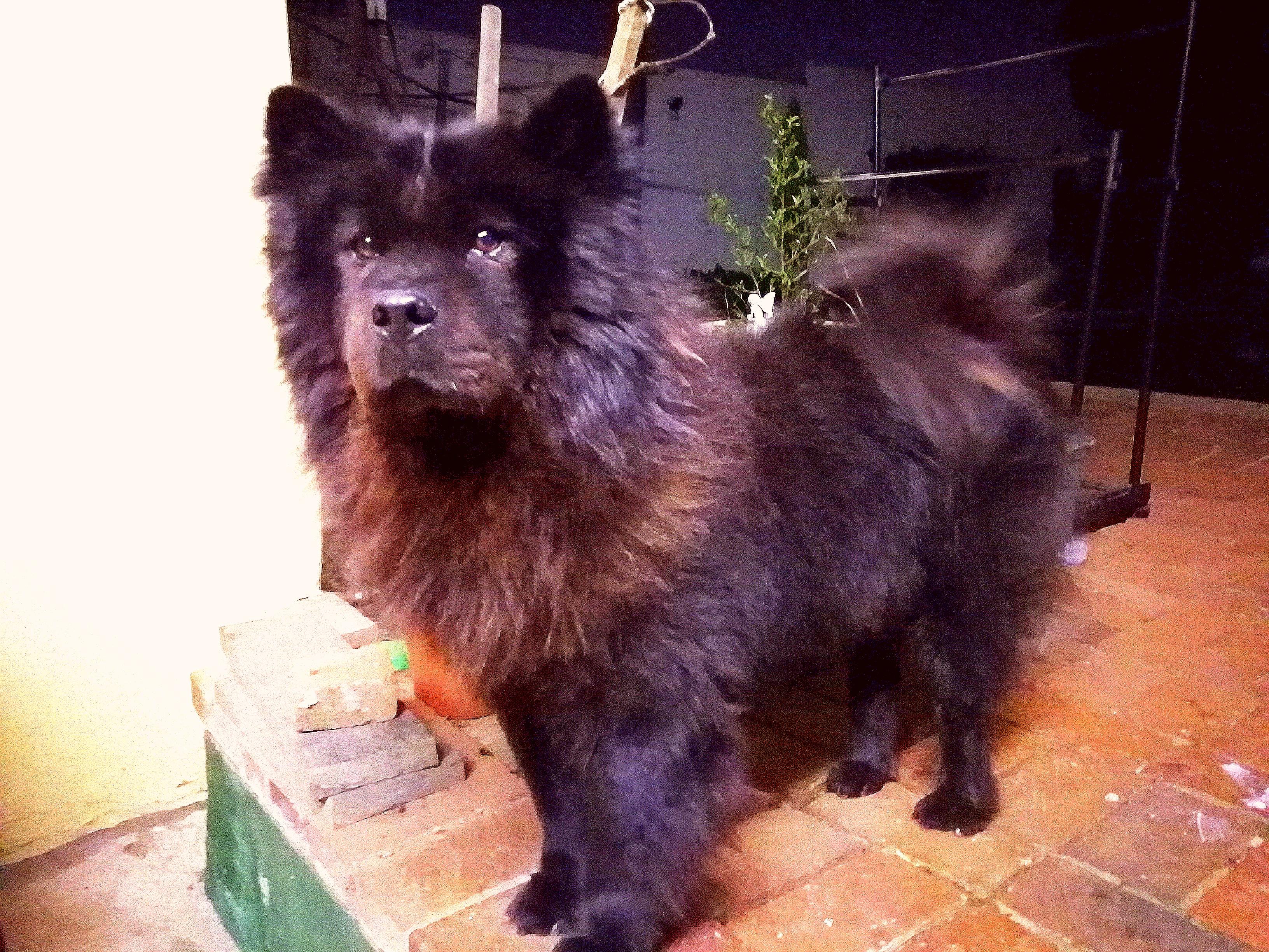 That just washed feeling (mainly upset ) | Scrolller