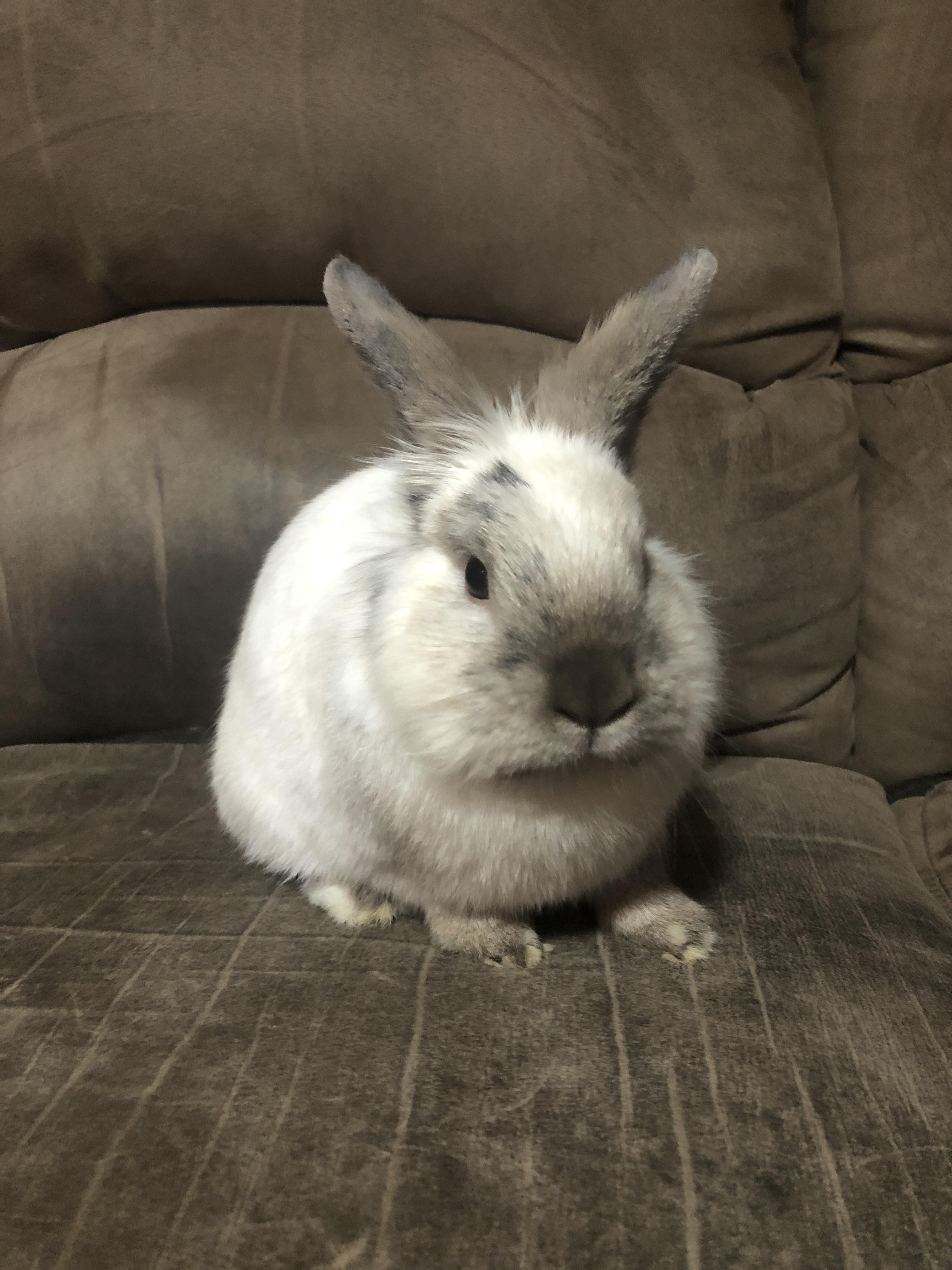 That look tho | Scrolller