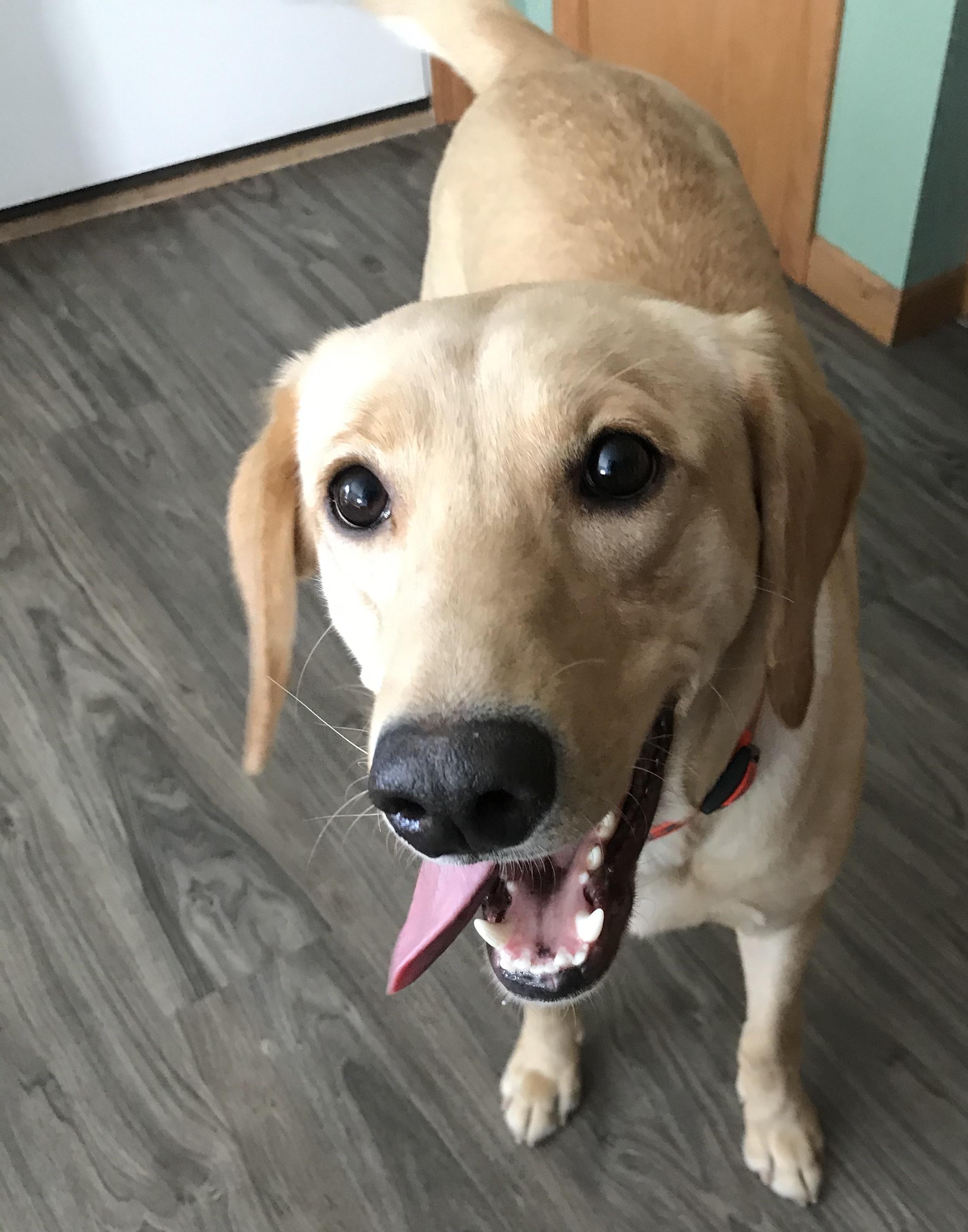 That’s one happy little rascal! | Scrolller