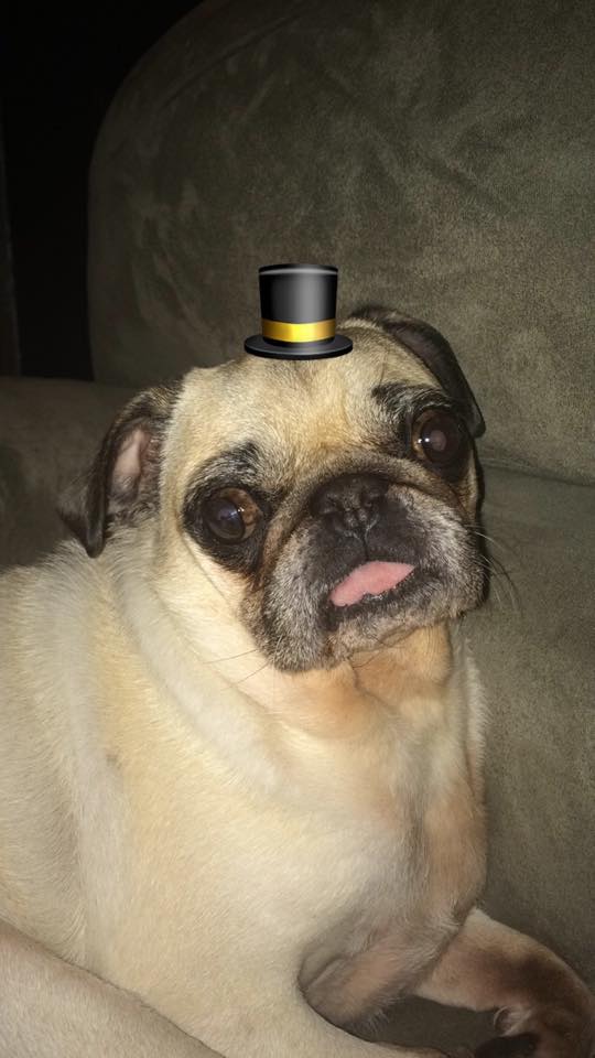 That's a good looking tiny hat, Carson | Scrolller