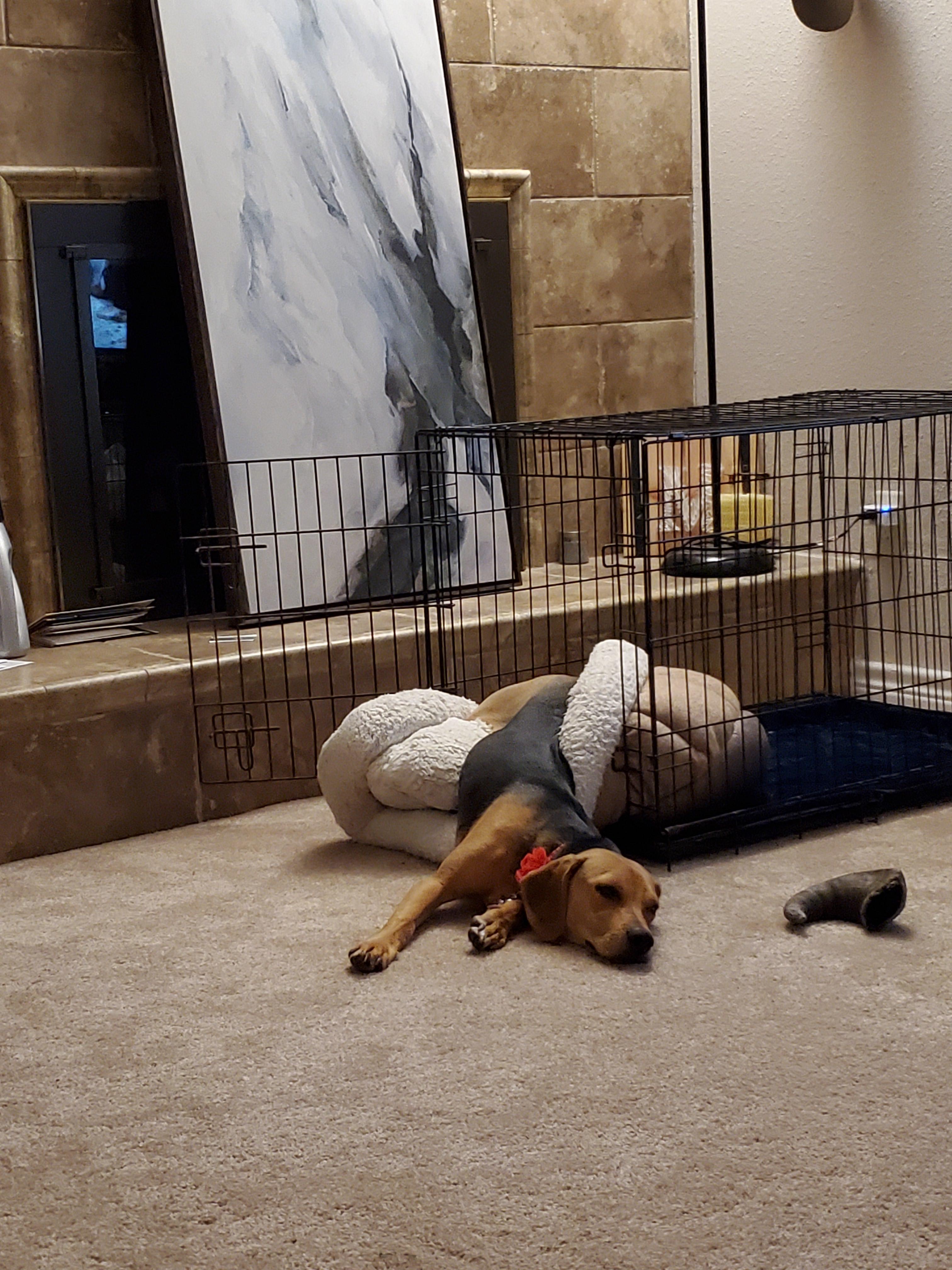 That's not even her crate. | Scrolller