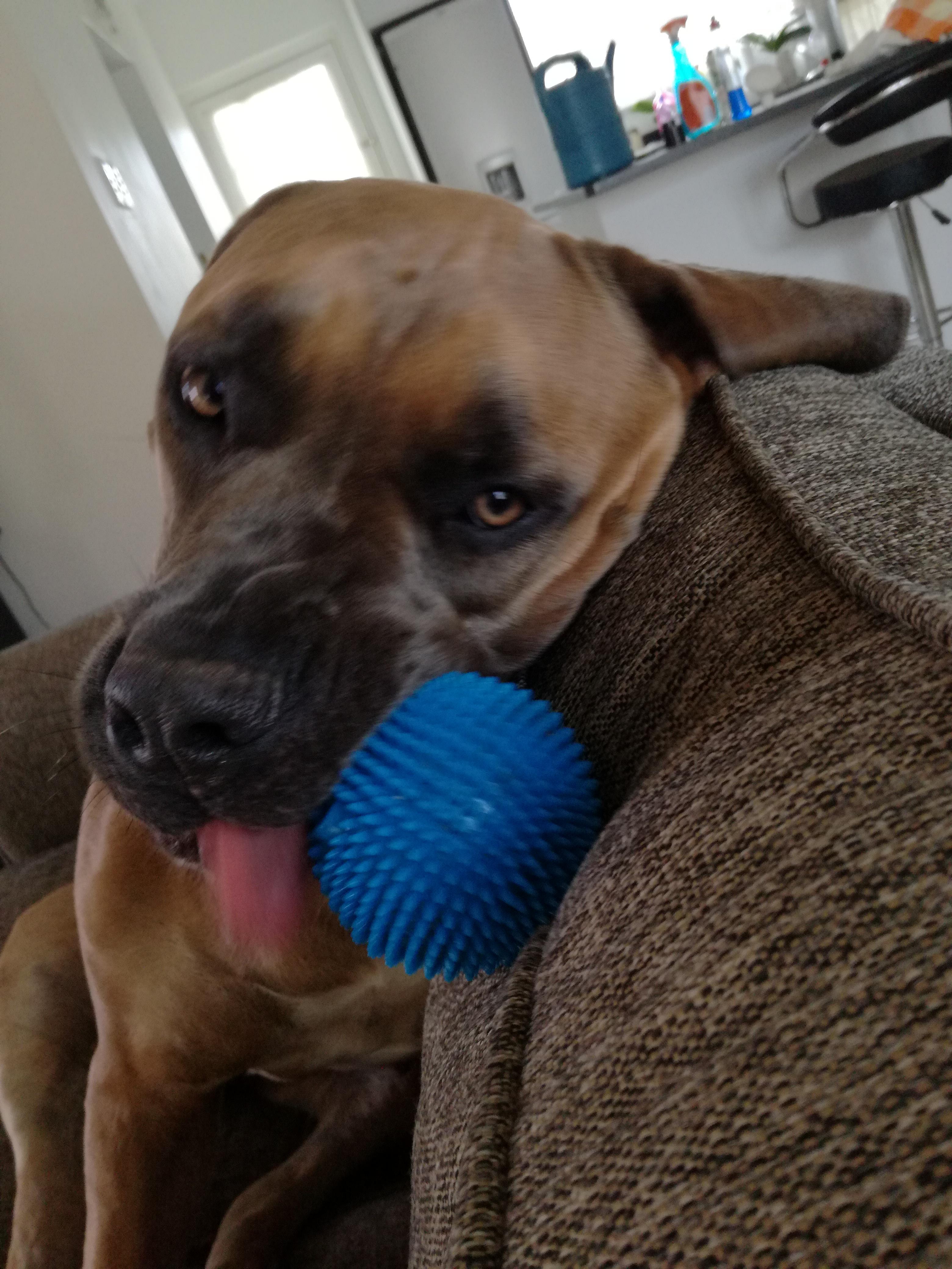 That's one derpy face! | Scrolller