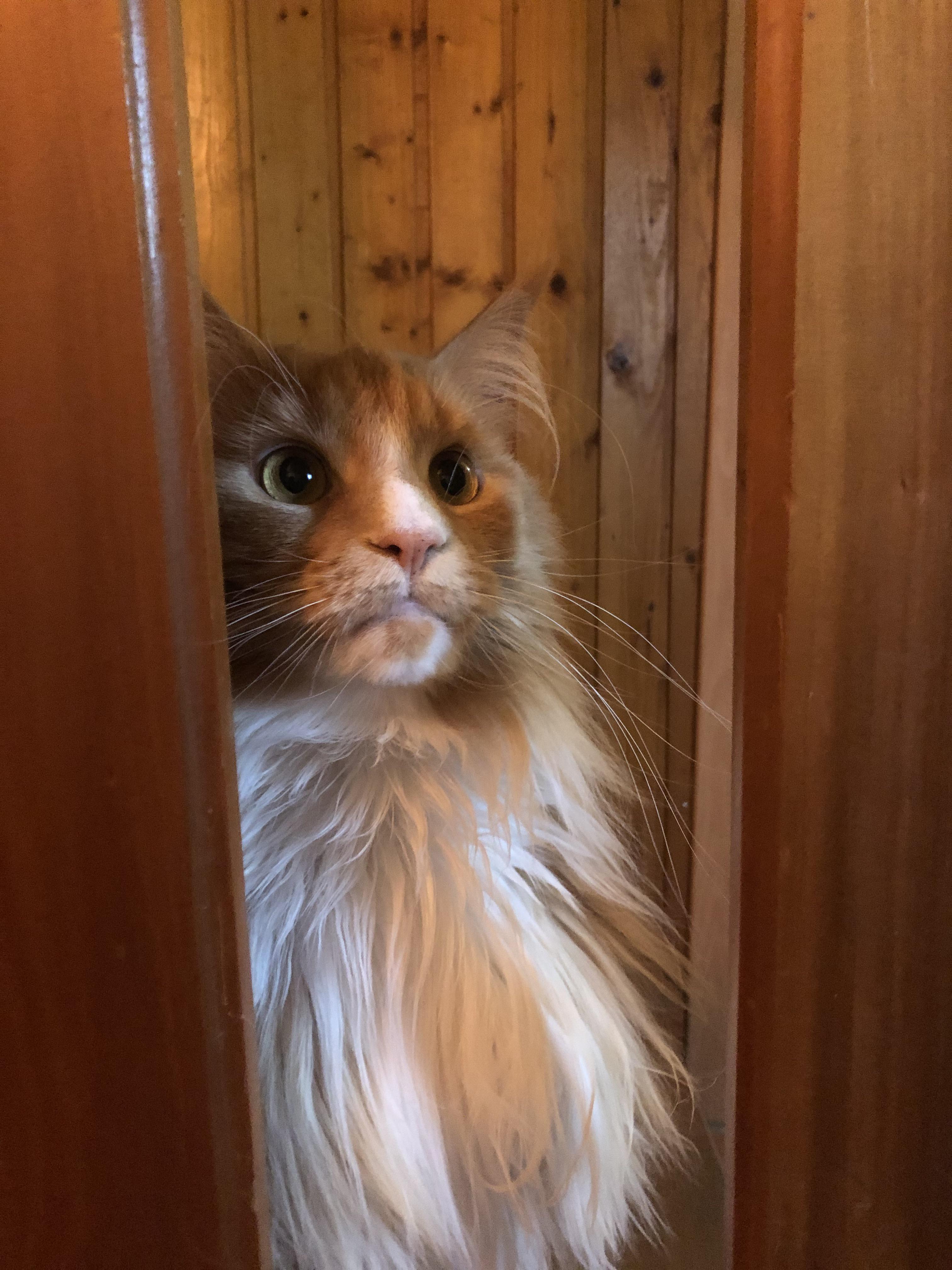 thats Rani | Scrolller