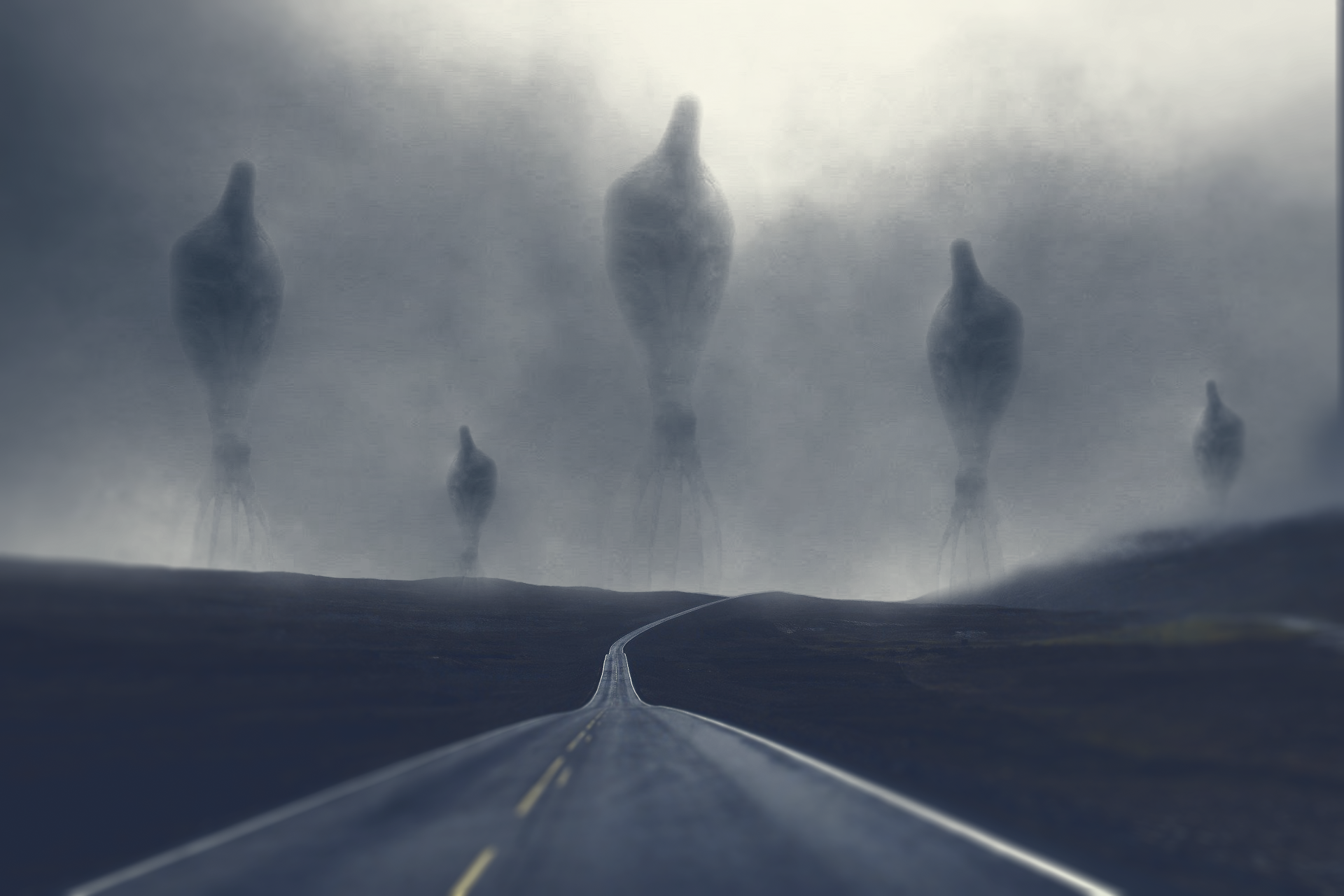 The Arrival | Scrolller