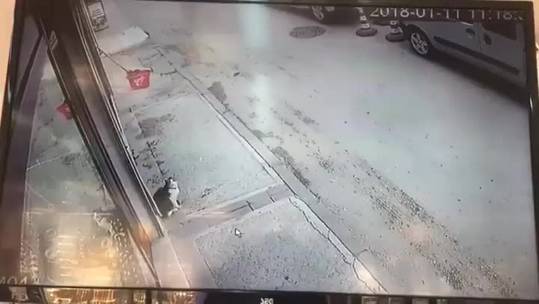 The Assassin [OC] | Scrolller