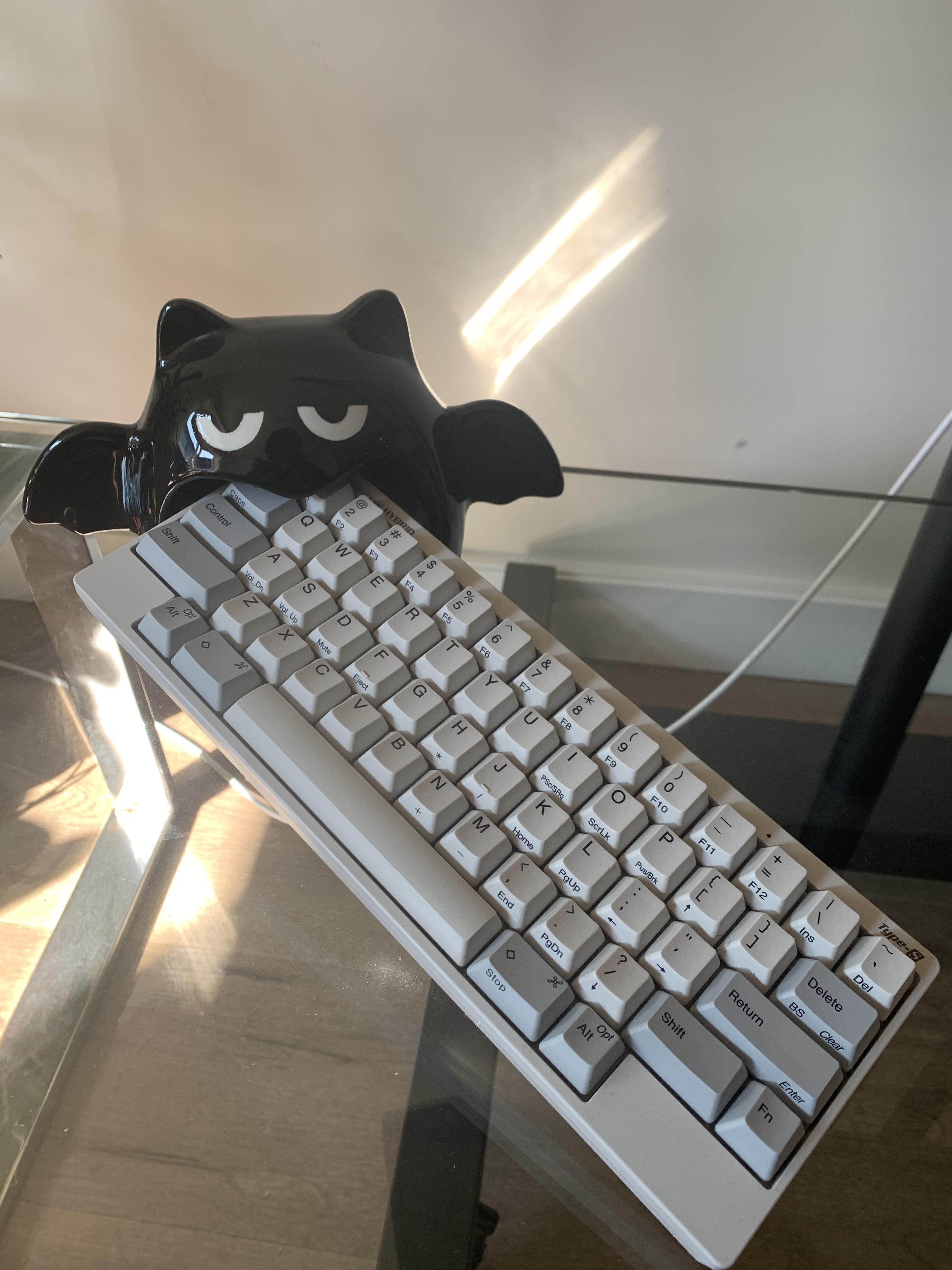 The bat loves HHKB | Scrolller