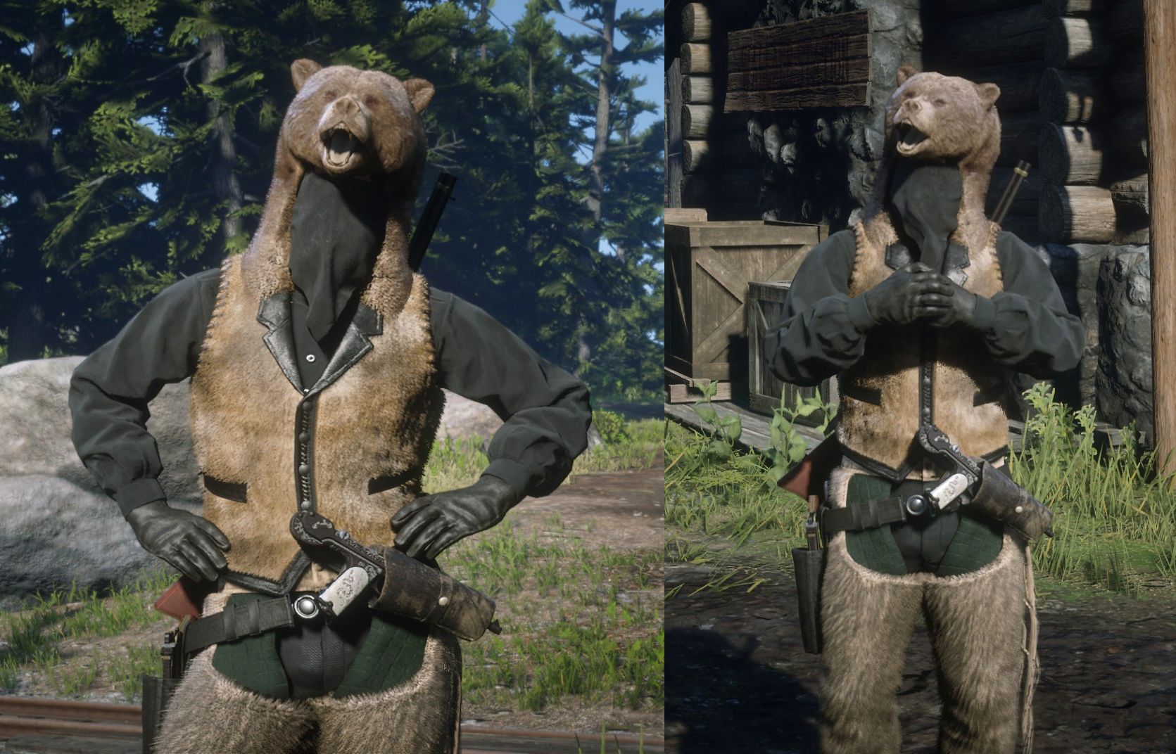 The Bear Bandit | Scrolller