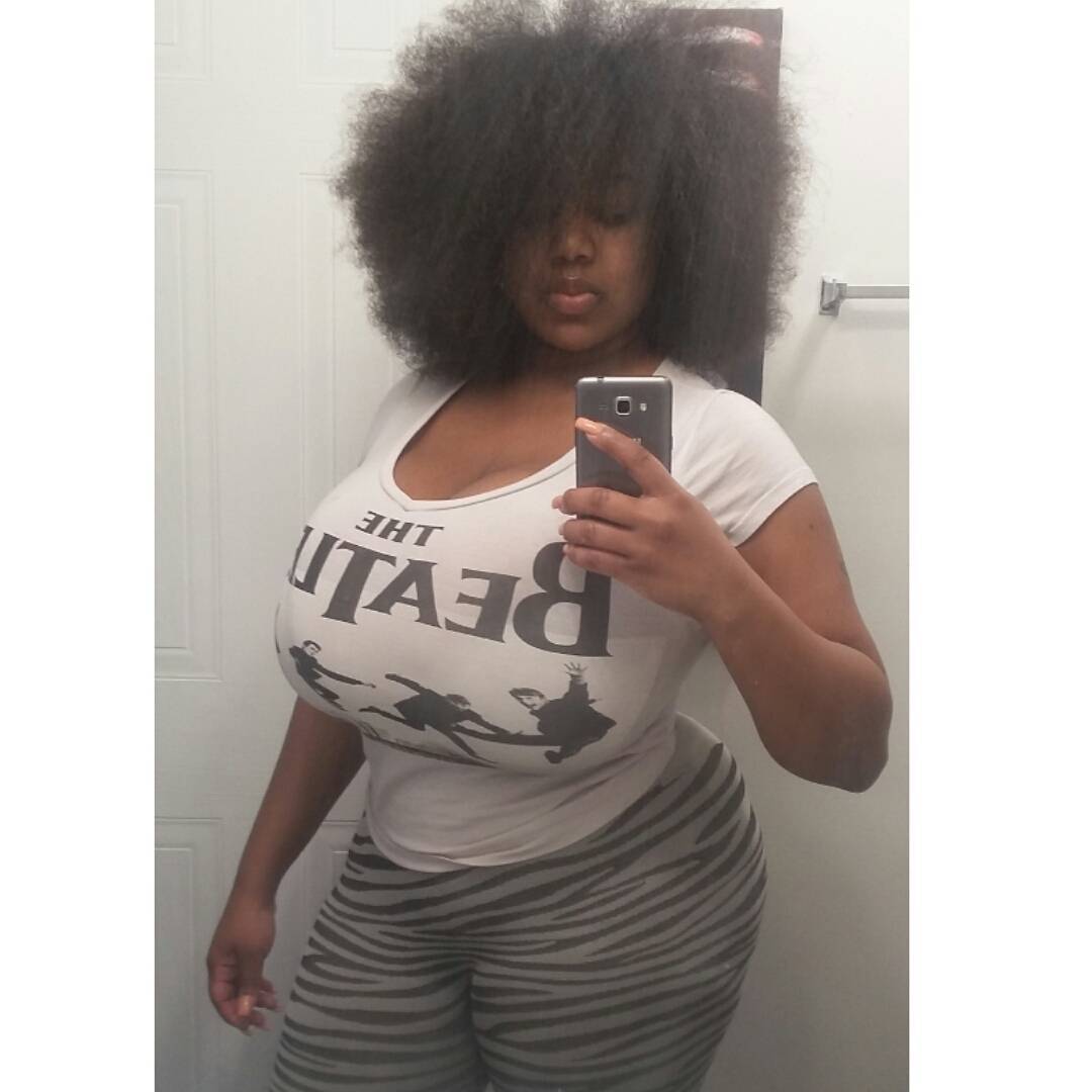 The Beatles | Scrolller