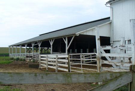 The breeding farm I wanna be kept on. Anyone have any room for new livestock? | Scrolller